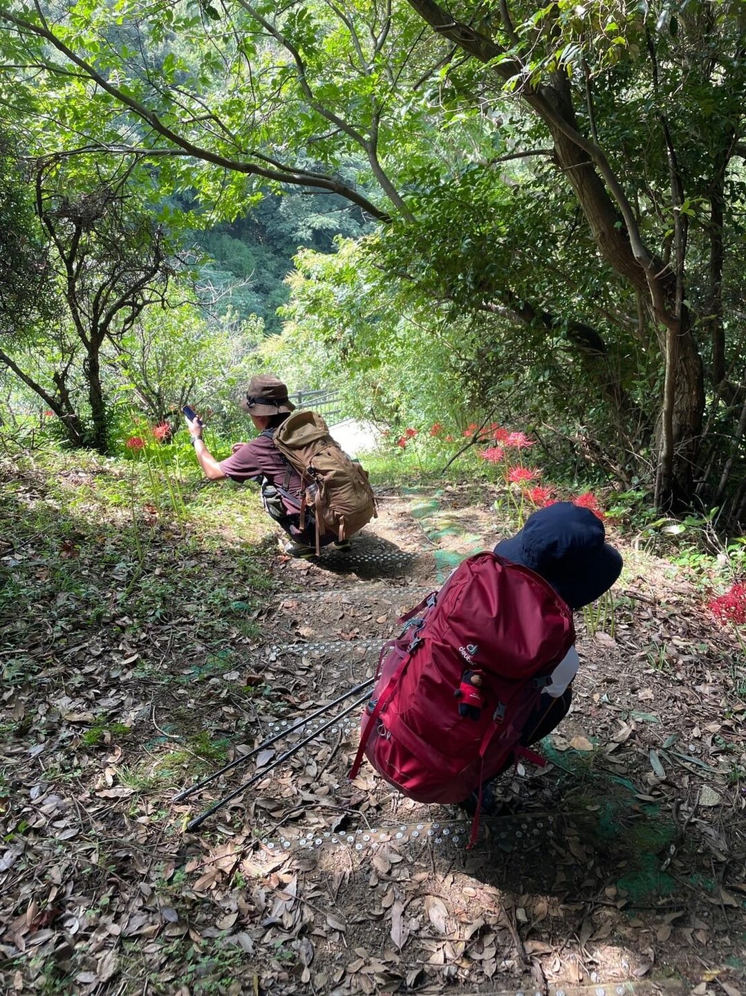 二丈岳 / じゅんさんの二丈岳・十坊山の活動データ | YAMAP / ヤマップ
