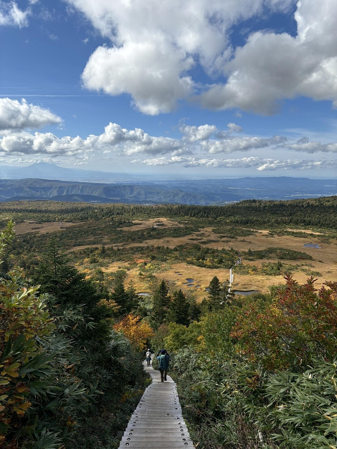 八甲田山（大岳）・井戸岳・赤倉岳 / nao17さんの八甲田山・高田大岳・雛岳の活動日記 | YAMAP / ヤマップ