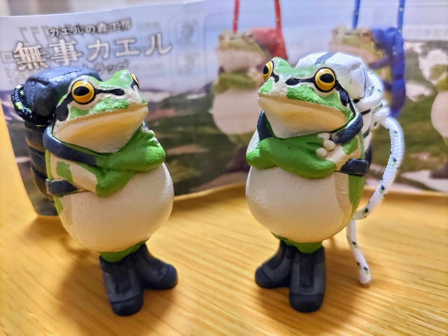 この1ヶ月ちょっと、たぶん2000台位の... / あんこさんのモーメント | YAMAP / ヤマップ