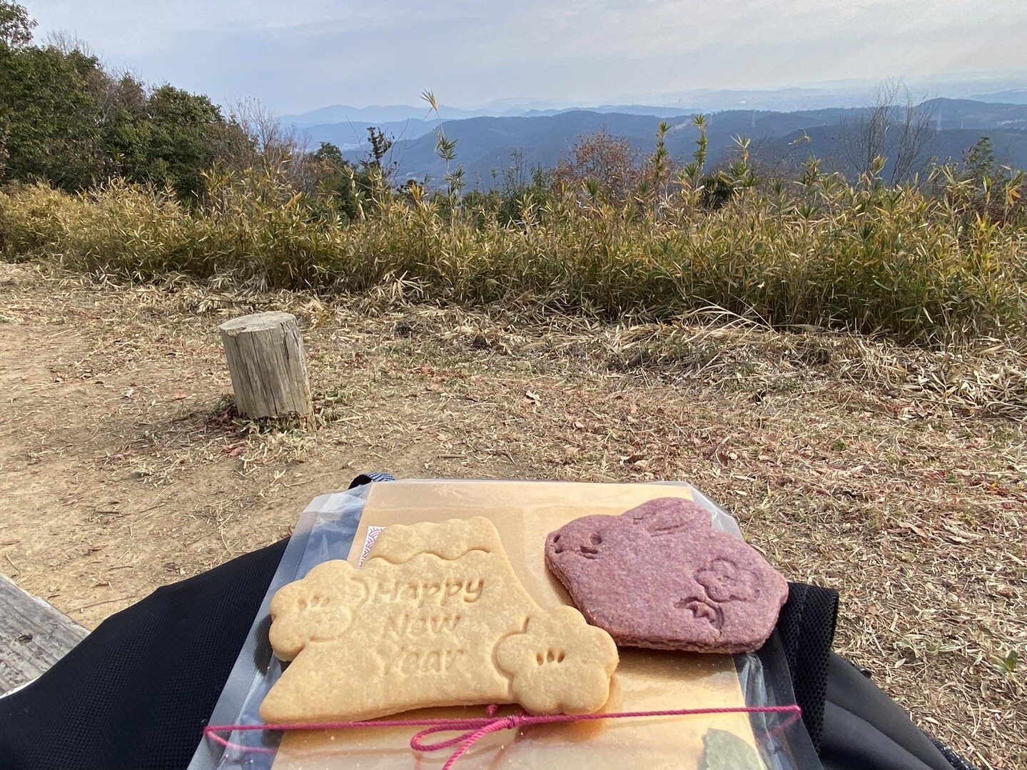 2022年 福山45回目 登り納め 今... / sachi_lehuaさんのモーメント | YAMAP / ヤマップ