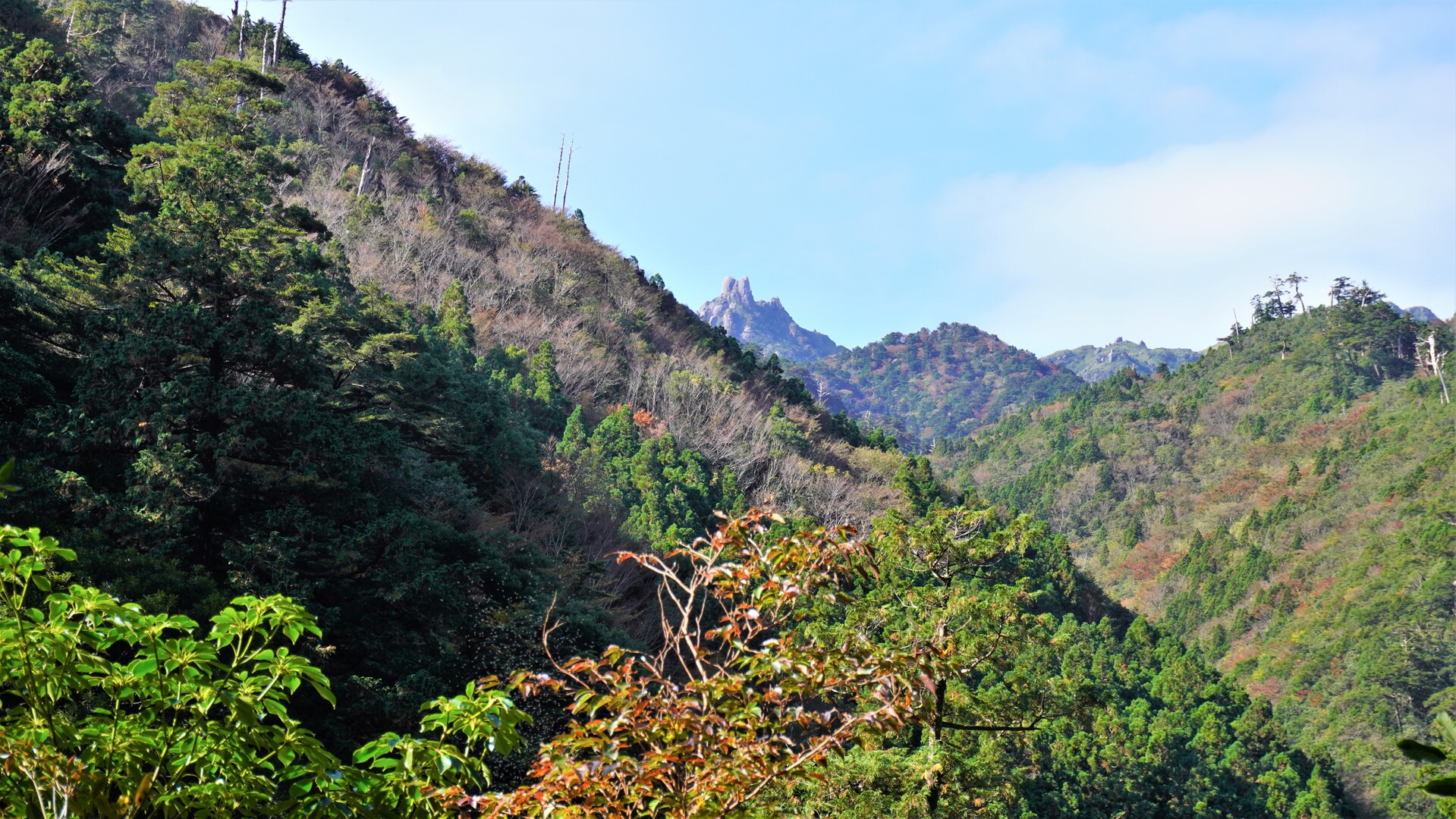 洋上のアルプス 屋久島 宮之浦岳(1,936m)縦走‼︎〜最南端の百名山＆九州最高峰～ / mats(まっつ)さんの屋久島・宮之浦岳の活動日記 | YAMAP / ヤマップ