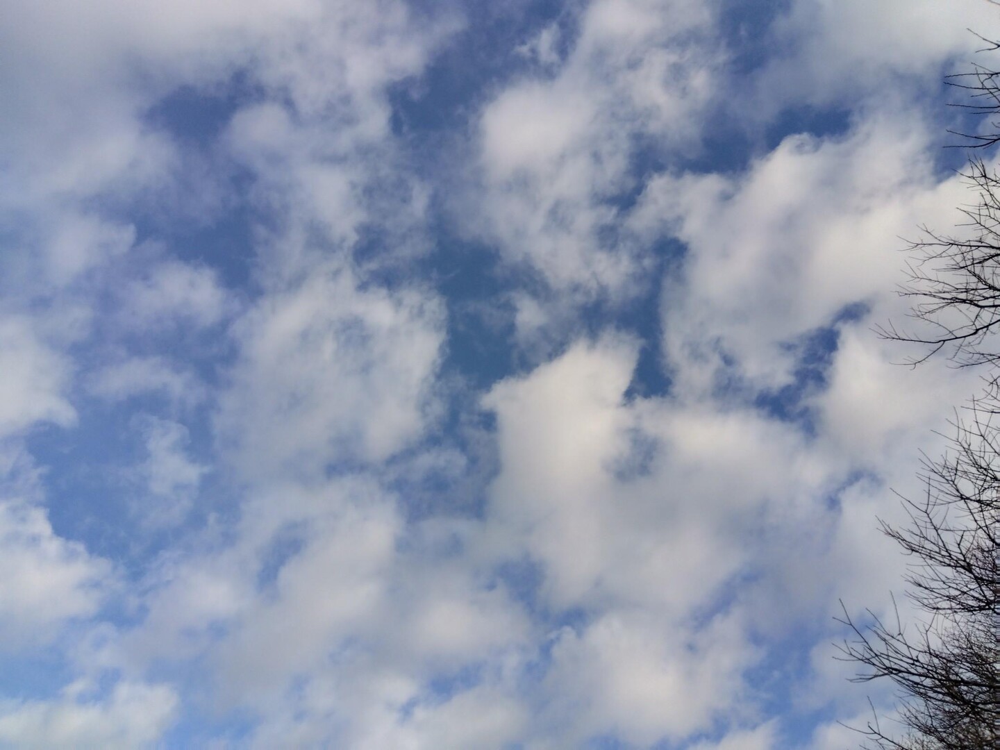 国上山・剣ヶ峰・黒滝山・雨乞山・妻戸山・弥彦山 / shino-puさんの弥彦山・多宝山・雨乞山の活動データ | YAMAP / ヤマップ