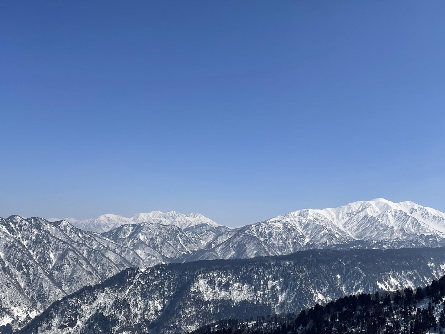 かんじきトレッキング 🥾🥾 202... / けじぇるさんのモーメント | YAMAP / ヤマップ