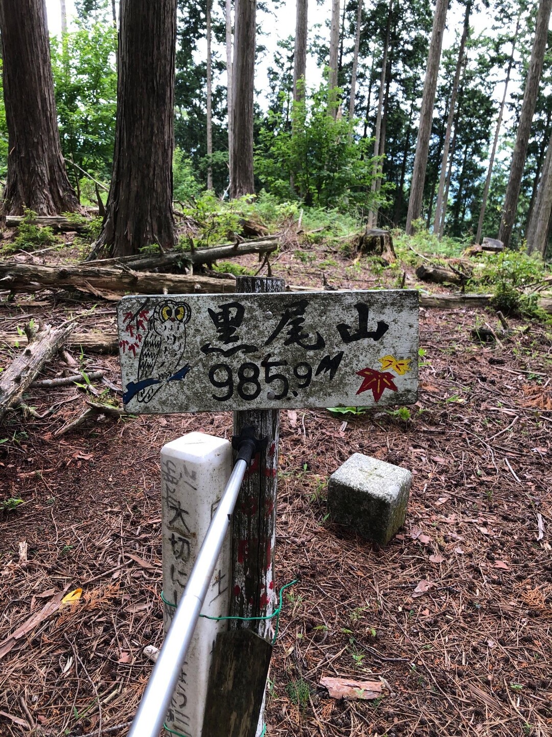 黒尾山 / Zak-Sanさんの天狗倉山・高城山・乗鞍岳の活動データ | YAMAP / ヤマップ