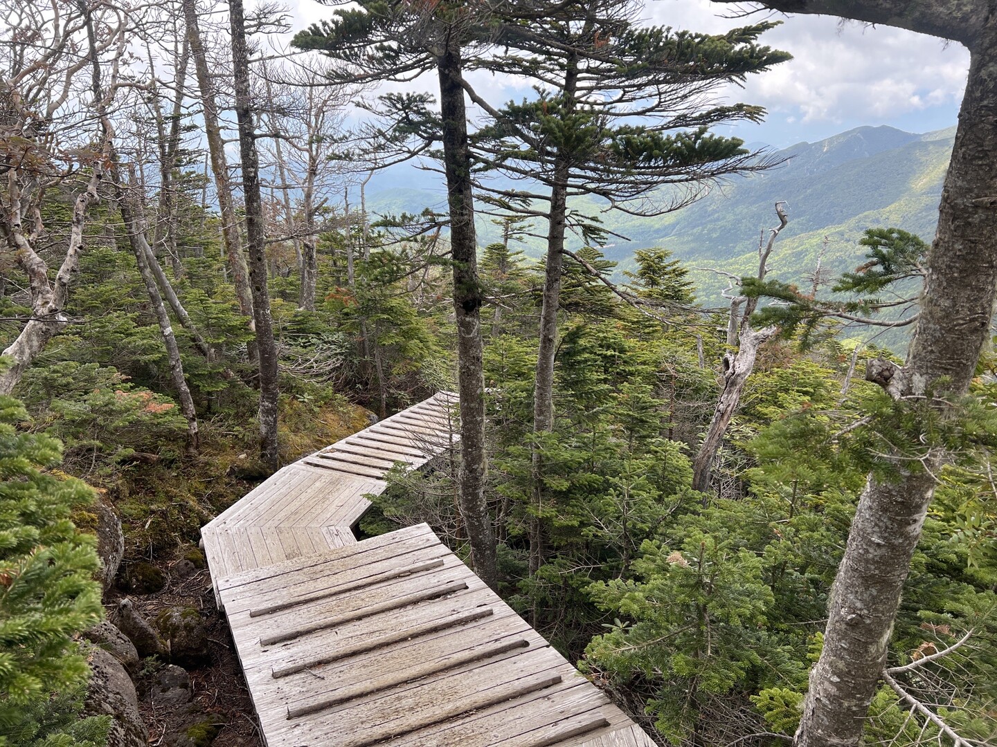 aryuaryuさんの投稿したフィールドメモ | YAMAP / ヤマップ