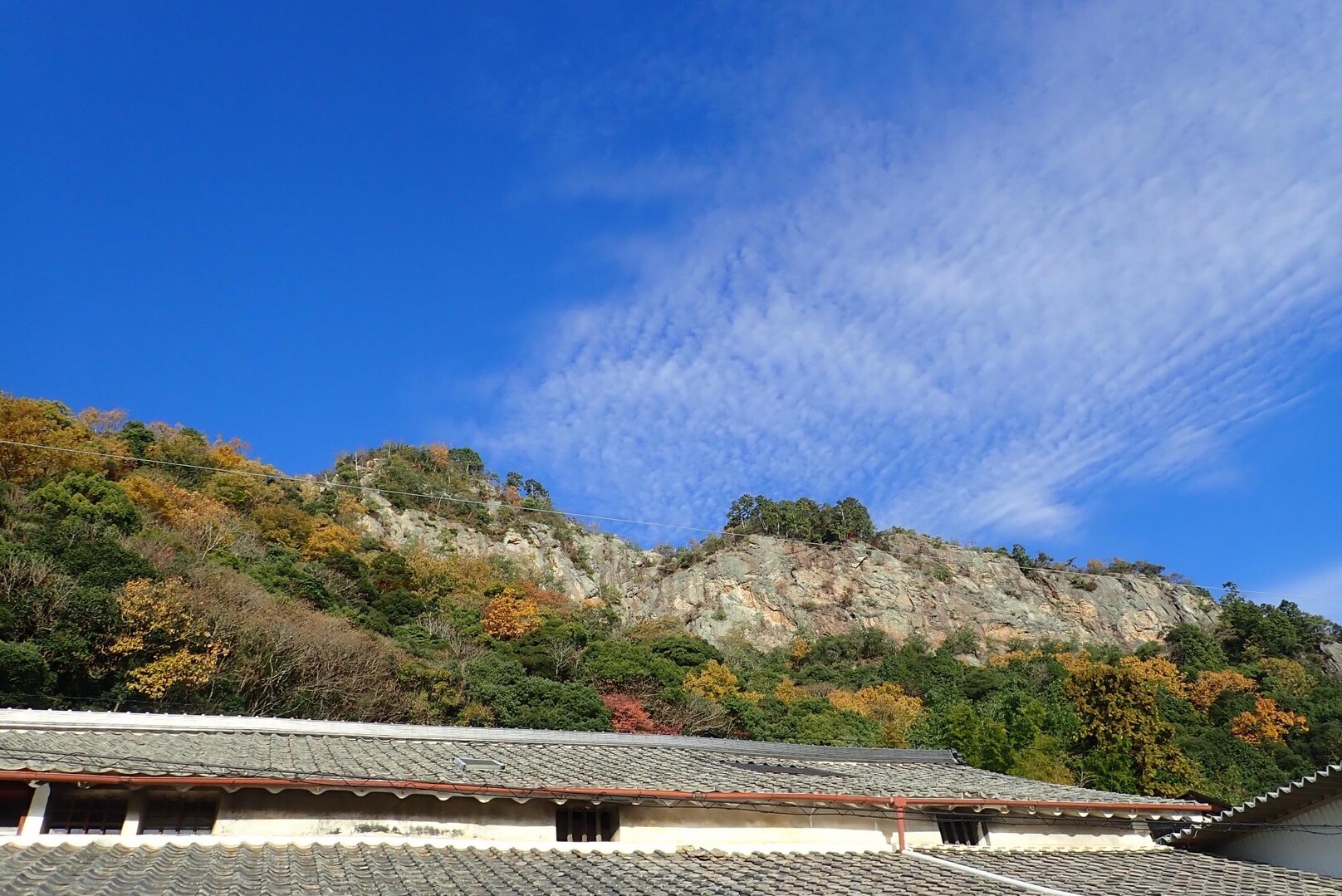 遠見山・権現山(川辺町) / rey_seroさんの権現山の活動データ | YAMAP / ヤマップ