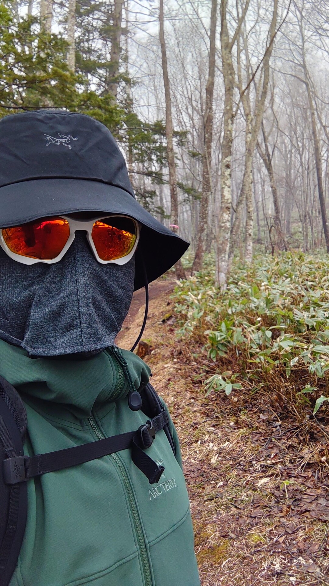 困ったときの仁頃山 / Arcさんの仁頃山の活動データ | YAMAP / ヤマップ