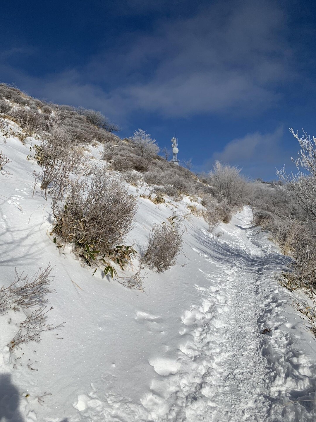 北山・地蔵岳・長七郎山 / haruさんの赤城山・黒檜山・荒山の活動データ | YAMAP / ヤマップ