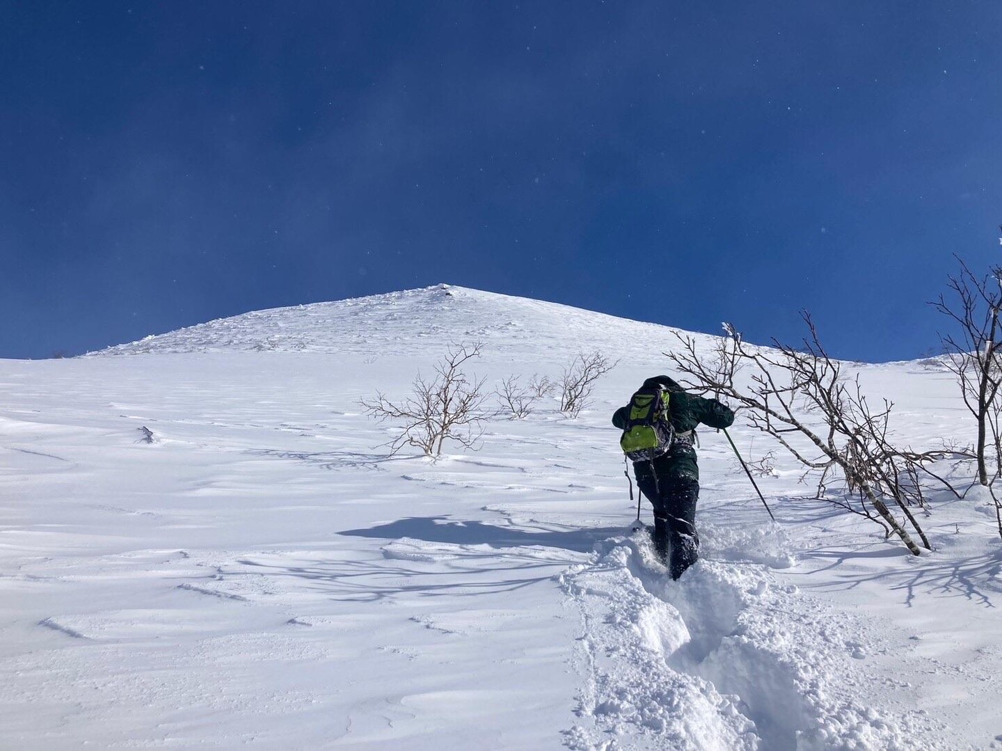 極ラッセル💦チセヌプリとオマケの832m峰 / ふぇい24さんのニセコアンヌプリ・イワオヌプリ・チセヌプリの活動データ | YAMAP / ヤマップ