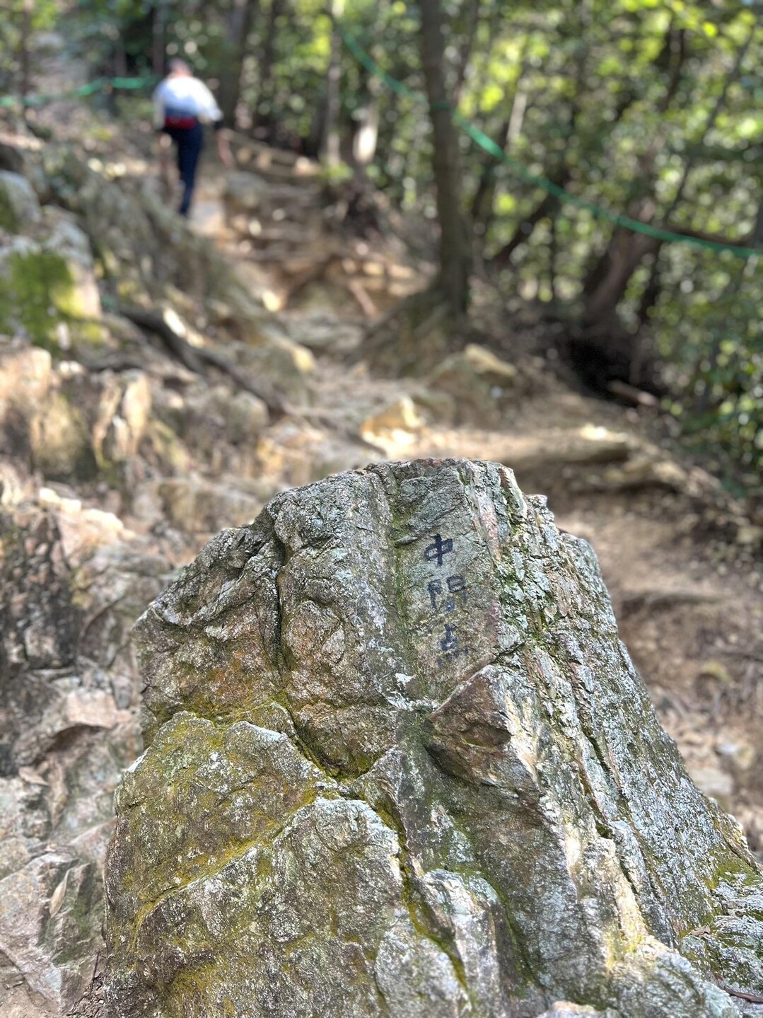 金華山🔺馬の背と瞑想の小径(動画あり) / Mt.Gさんの金華山・洞山・舟伏山の活動データ | YAMAP / ヤマップ