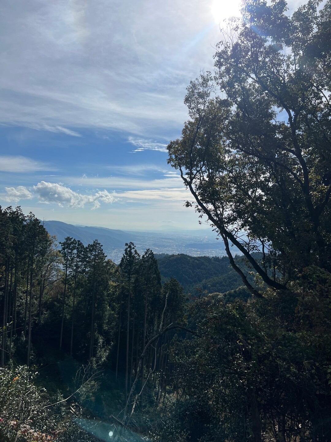 Tanmo Minoさんの投稿したフィールドメモ | YAMAP / ヤマップ