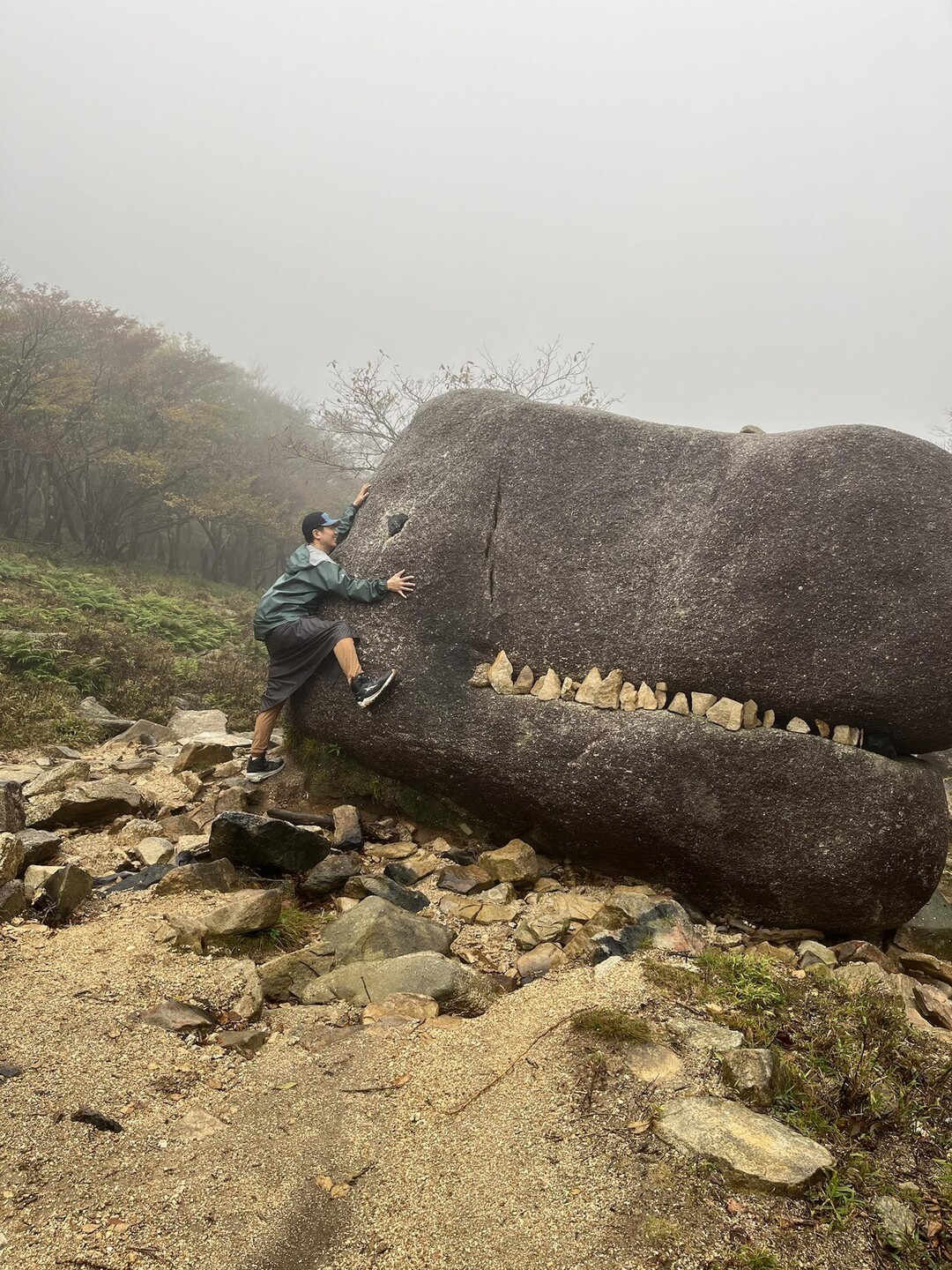 御在所岳 2024.11.2 / 47craftさんの御在所岳（御在所山）・雨乞岳の活動データ | YAMAP / ヤマップ