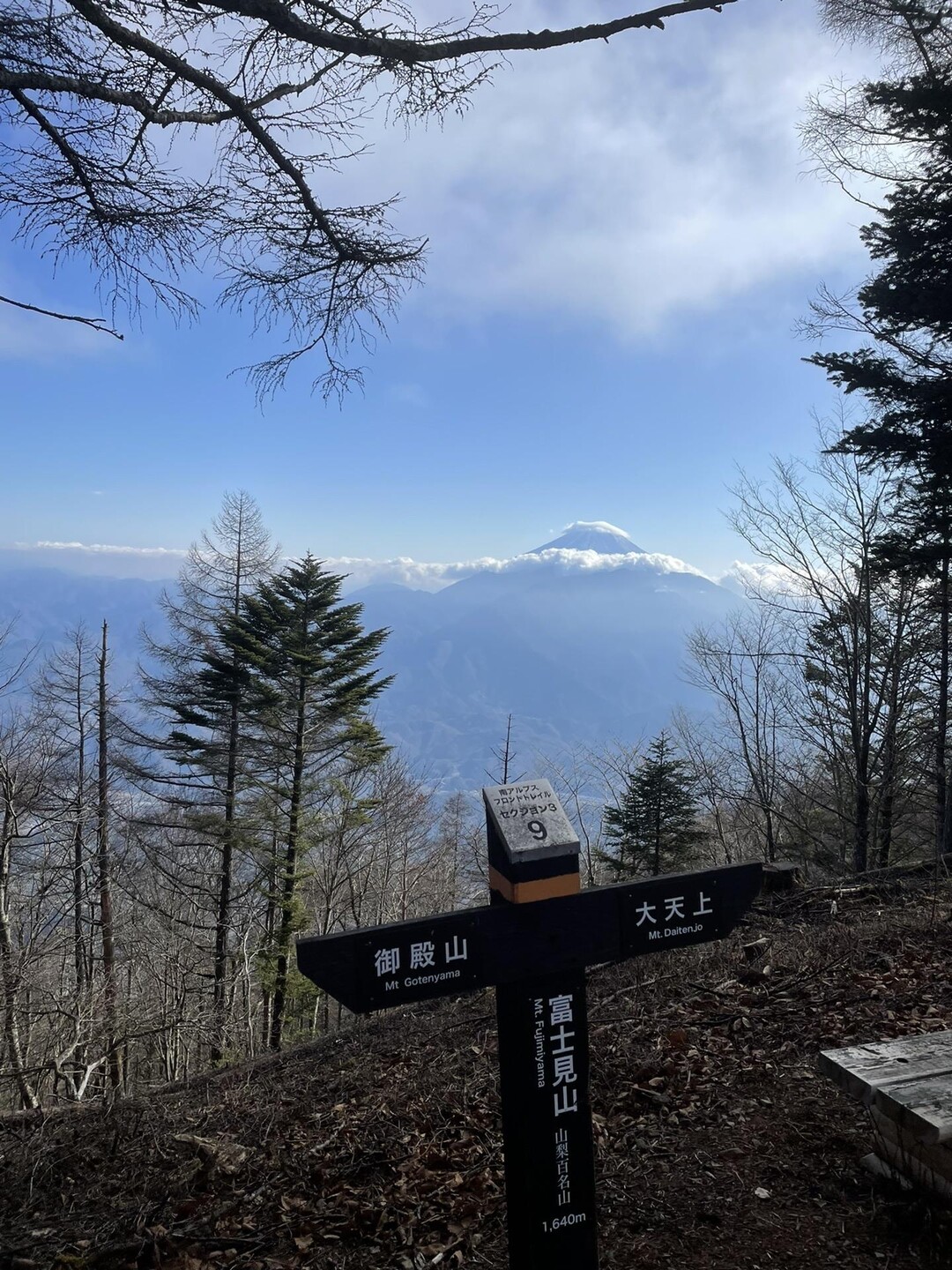 富士見山 / わふさんの富士見山・御殿山の活動データ | YAMAP / ヤマップ