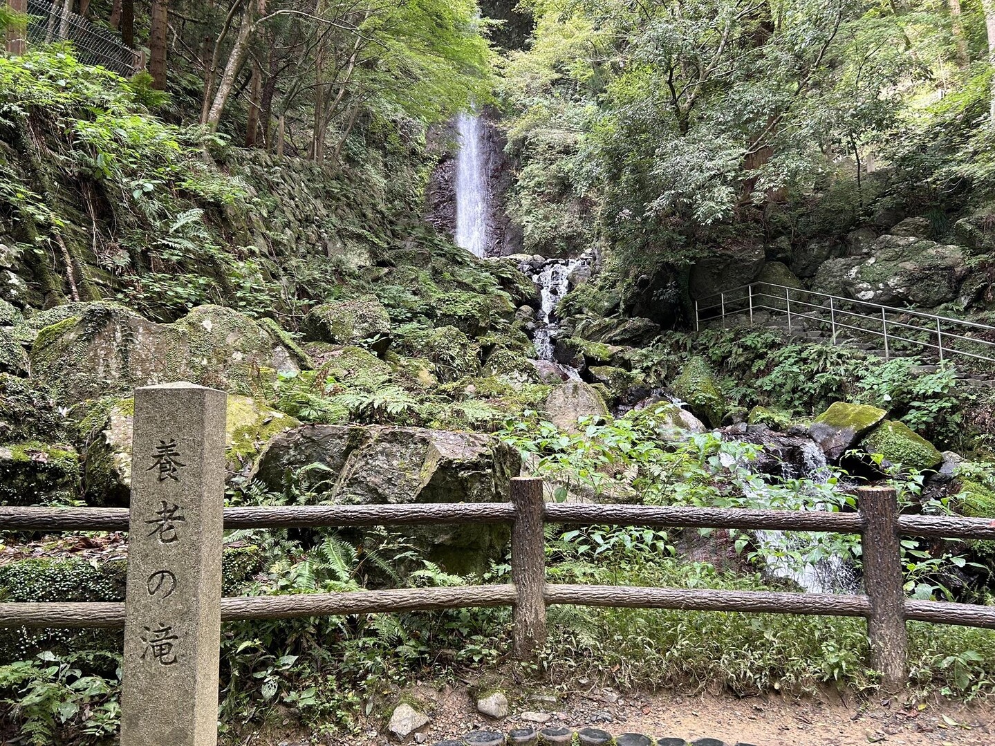 三方山・小倉山・養老山・北尾根P826峰 / ま～こさんの養老山・笙ヶ岳・三方山の活動データ | YAMAP / ヤマップ