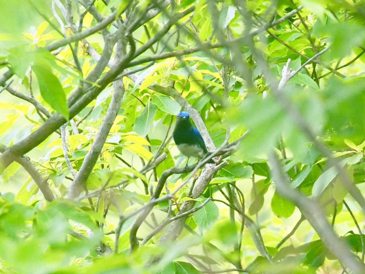 shouichiのページ | YAMAP / ヤマップ