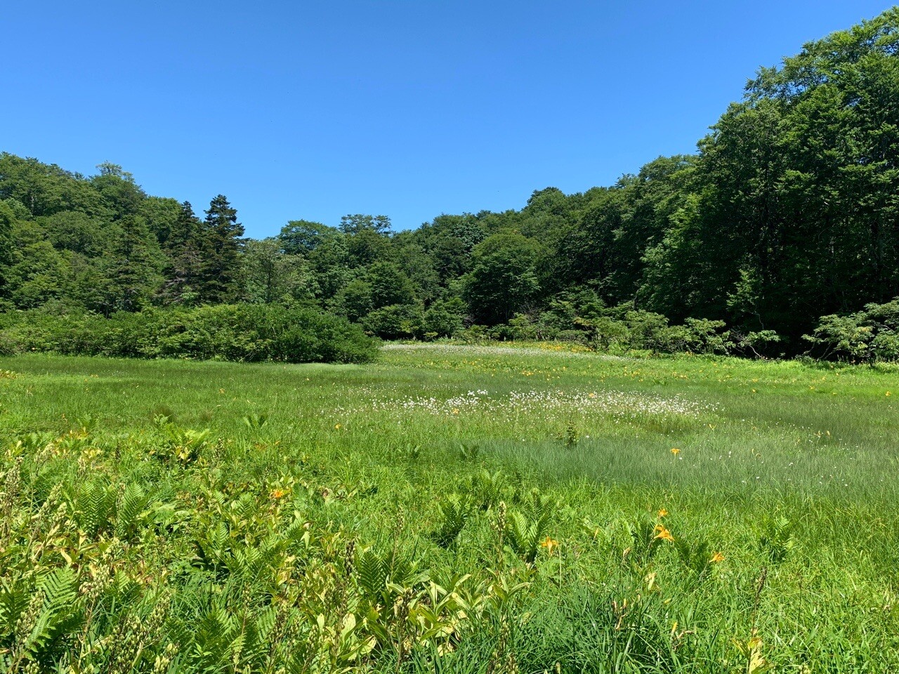 籾糠山、天生湿原 (もみぬかやま、あもうしつげん) / yyさんの三方崩山の活動データ | YAMAP / ヤマップ