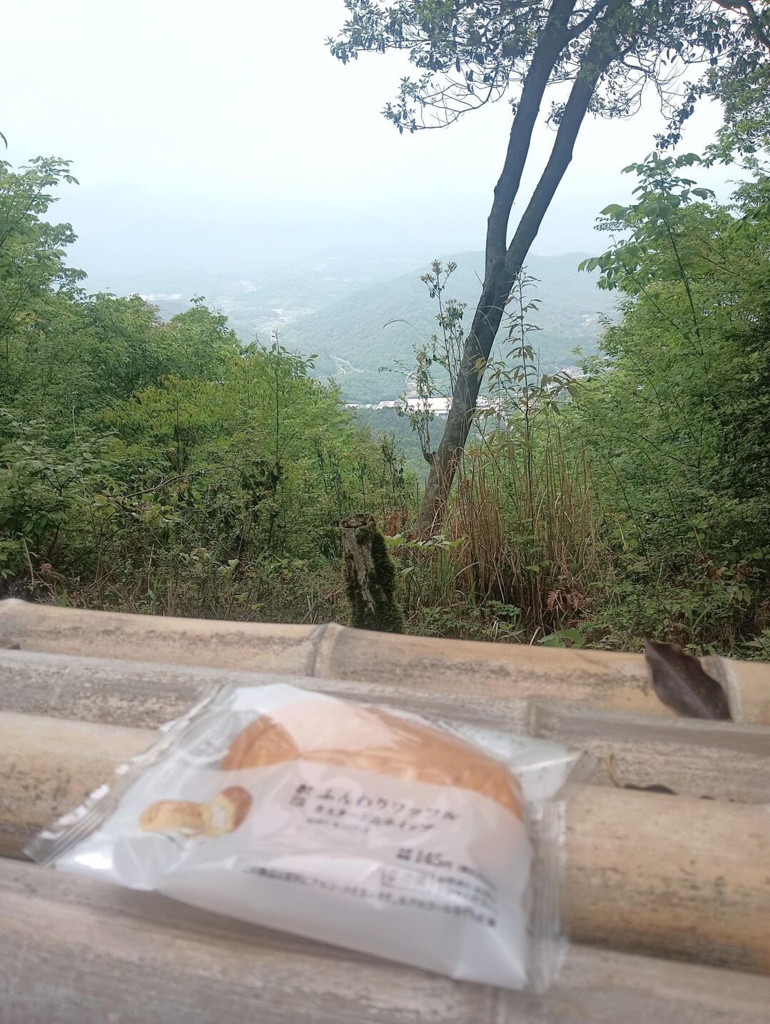 曾場ヶ城山・小倉山・弥仙山 / Mitz@さんの水ヶ丸山（水丸山）・曽場ヶ城山の活動データ | YAMAP / ヤマップ