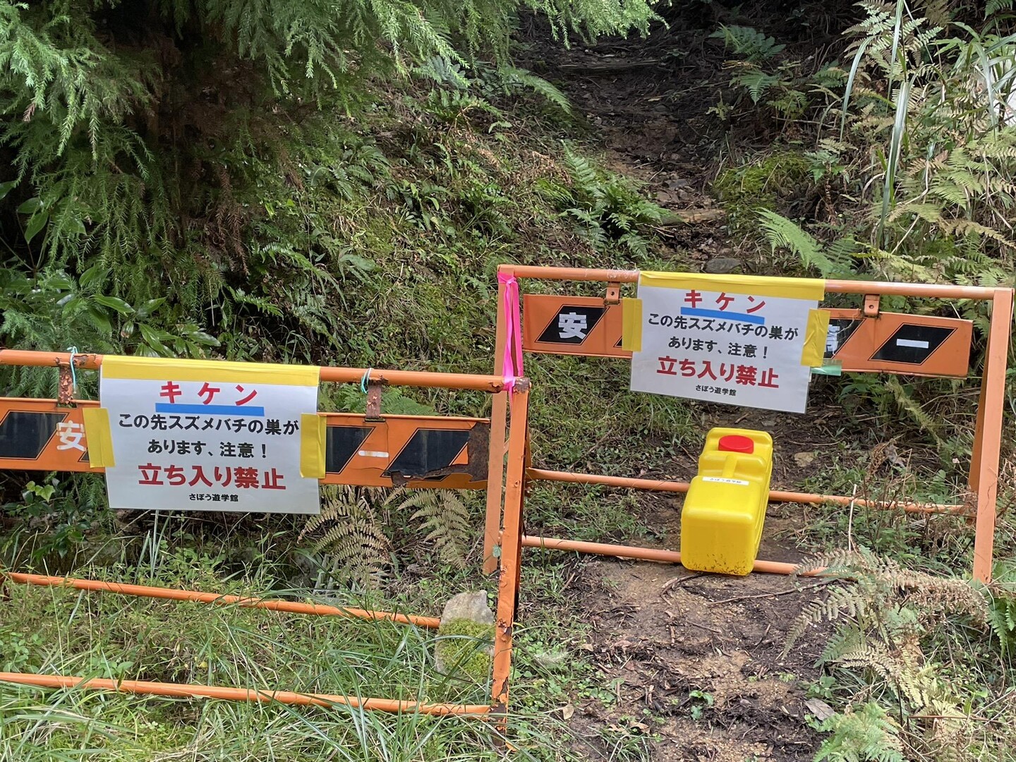 多度山・美濃松山・石津御嶽-2024-11-04 / ATSUSHI HIGUCHIさんの多度山・美濃松山・石津御嶽の活動データ | YAMAP / ヤマップ