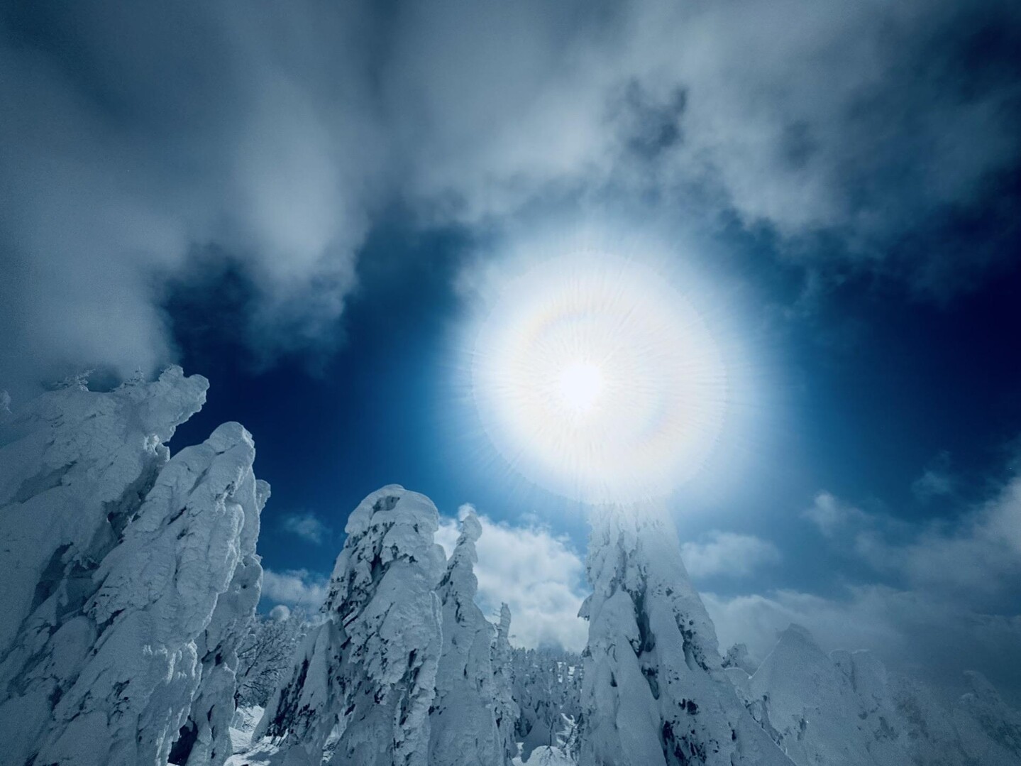 iPhoneのレンズカバーにヒビが入った... / ねこだいふくさんのモーメント | YAMAP / ヤマップ