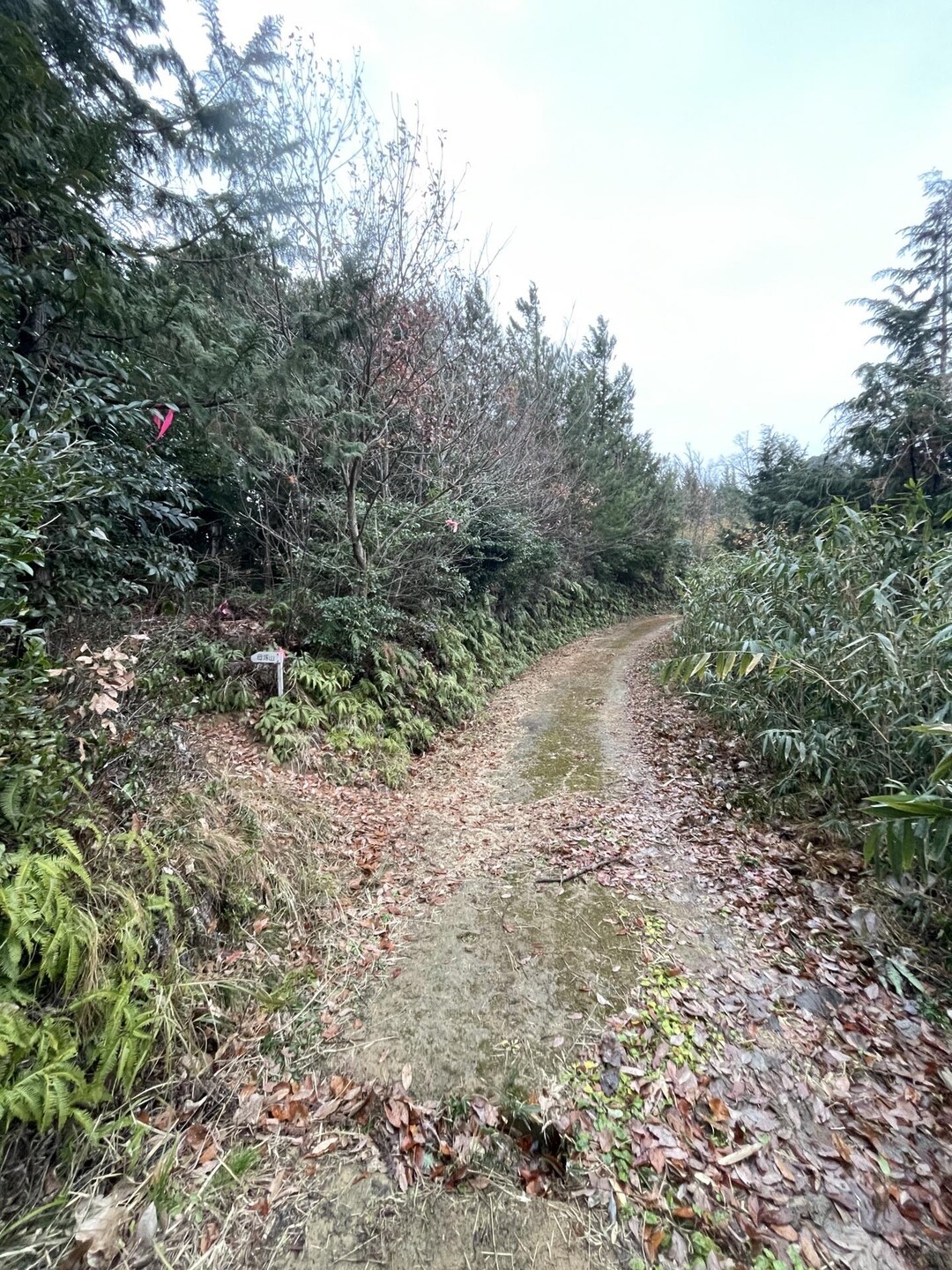 Bobさんの投稿したフィールドメモ | YAMAP / ヤマップ