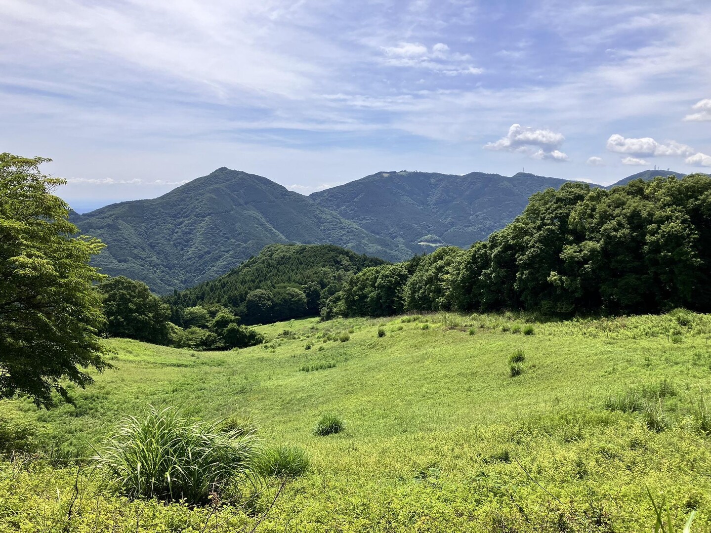 笠山（西峰）・堂平7/2 笠山-堂平山-大霧山-モーモーハウス-愛宕山-美鈴山-起点 / あきさんの堂平山・笠山（乳房山）・大霧山の活動データ | YAMAP / ヤマップ