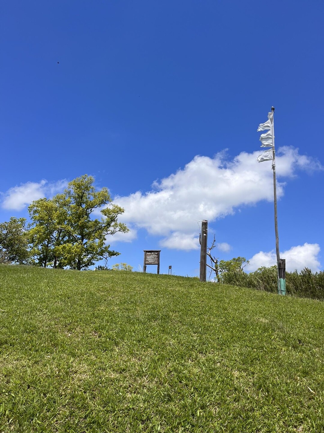 高旗山 / se-ko613さんの三ヶ岳・高旗山の活動データ | YAMAP / ヤマップ