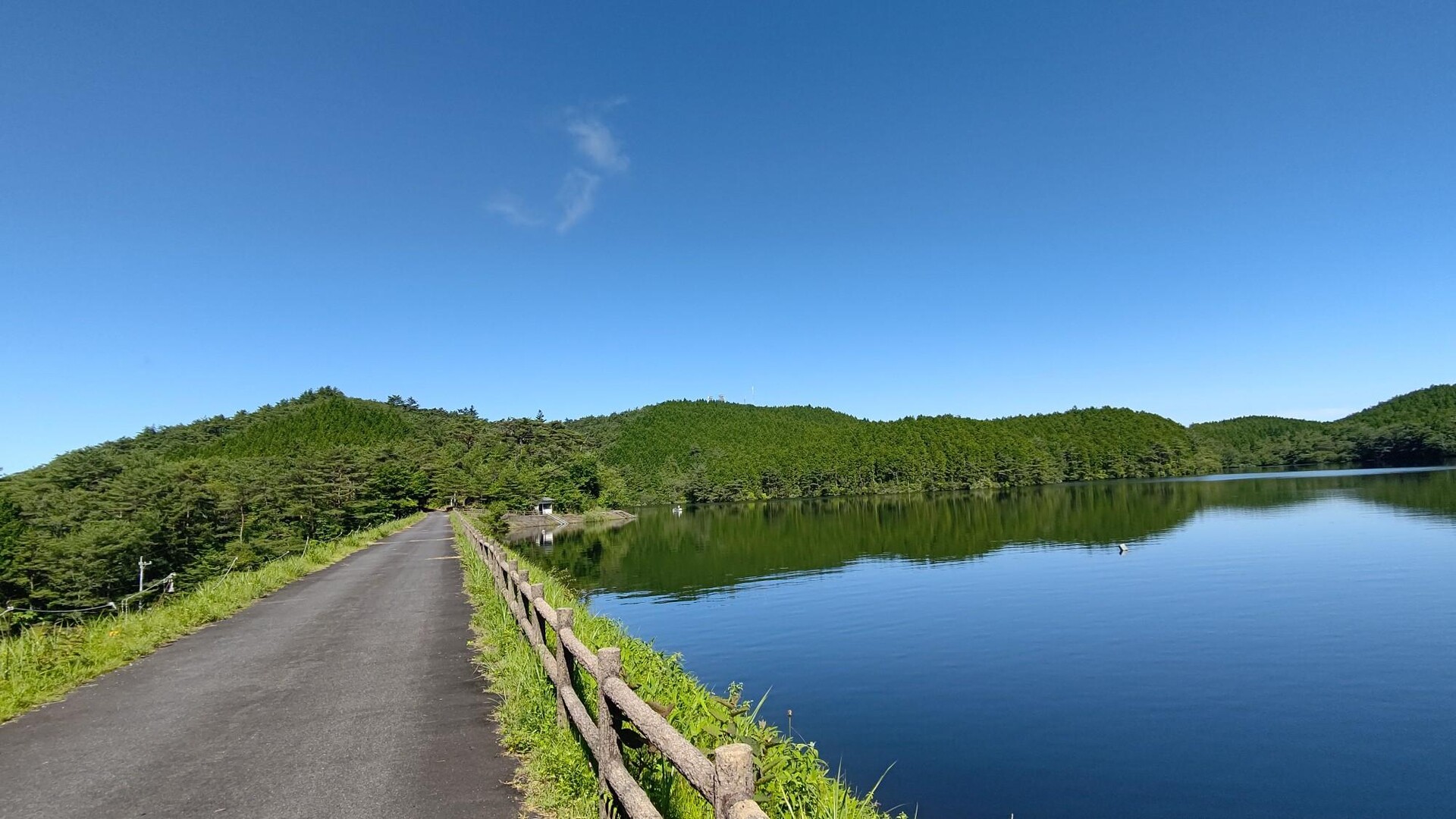 保古山 / neco-mimiさんの保古山の活動データ | YAMAP / ヤマップ