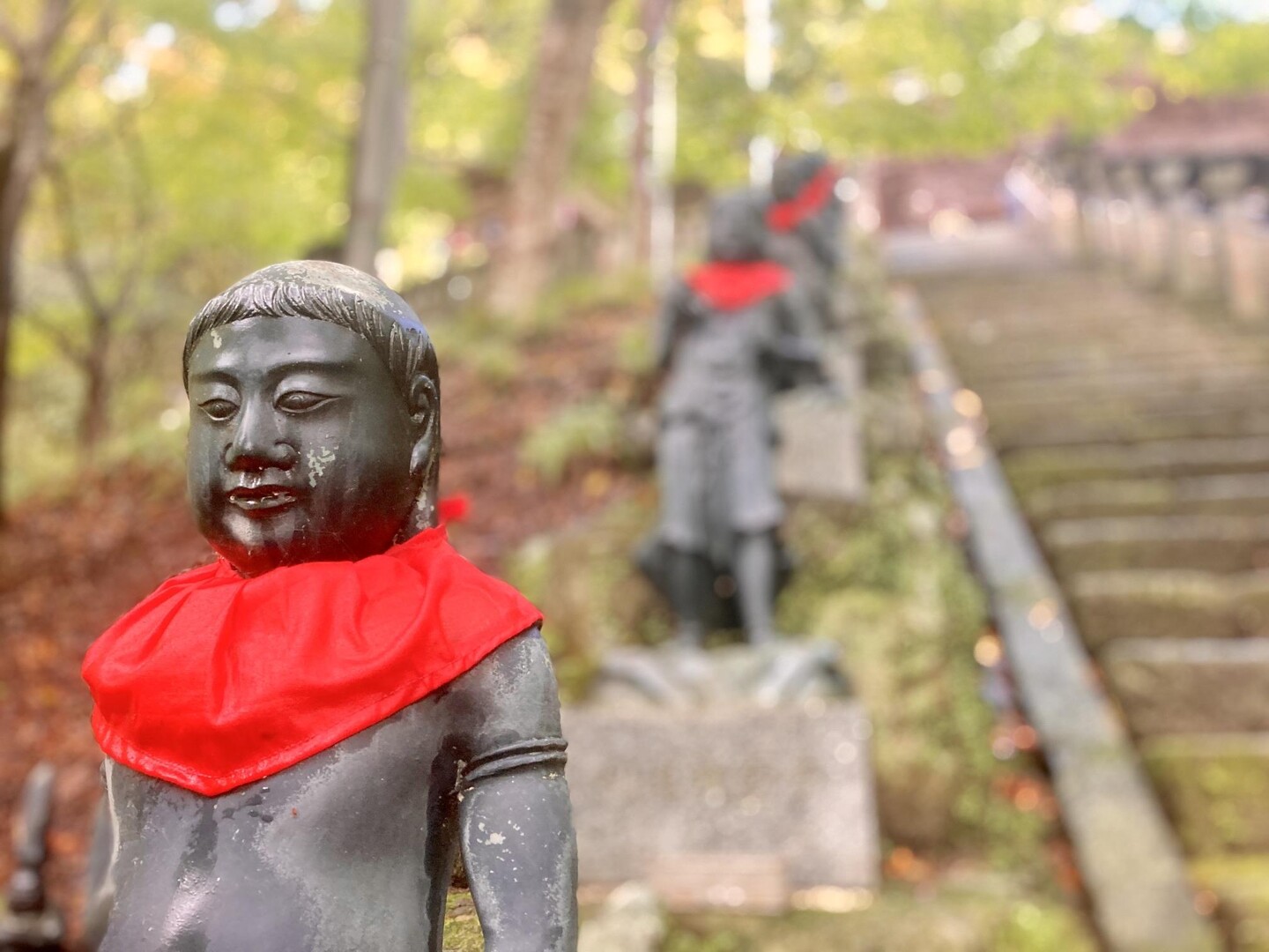 丹沢大山にて紅葉🍁探索 / Ozanさんの大山の活動データ | YAMAP / ヤマップ