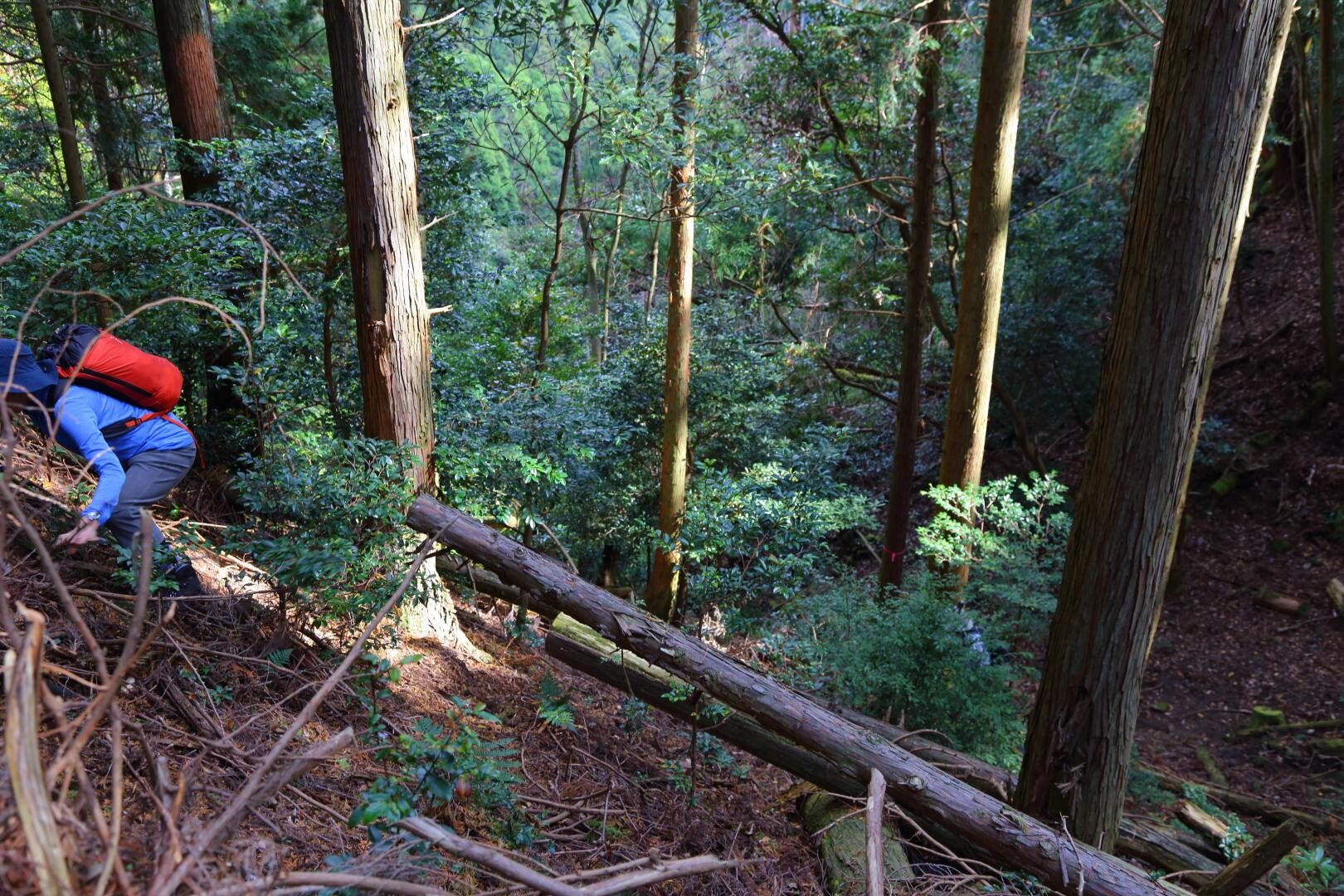 yavさんの投稿したフィールドメモ | YAMAP / ヤマップ