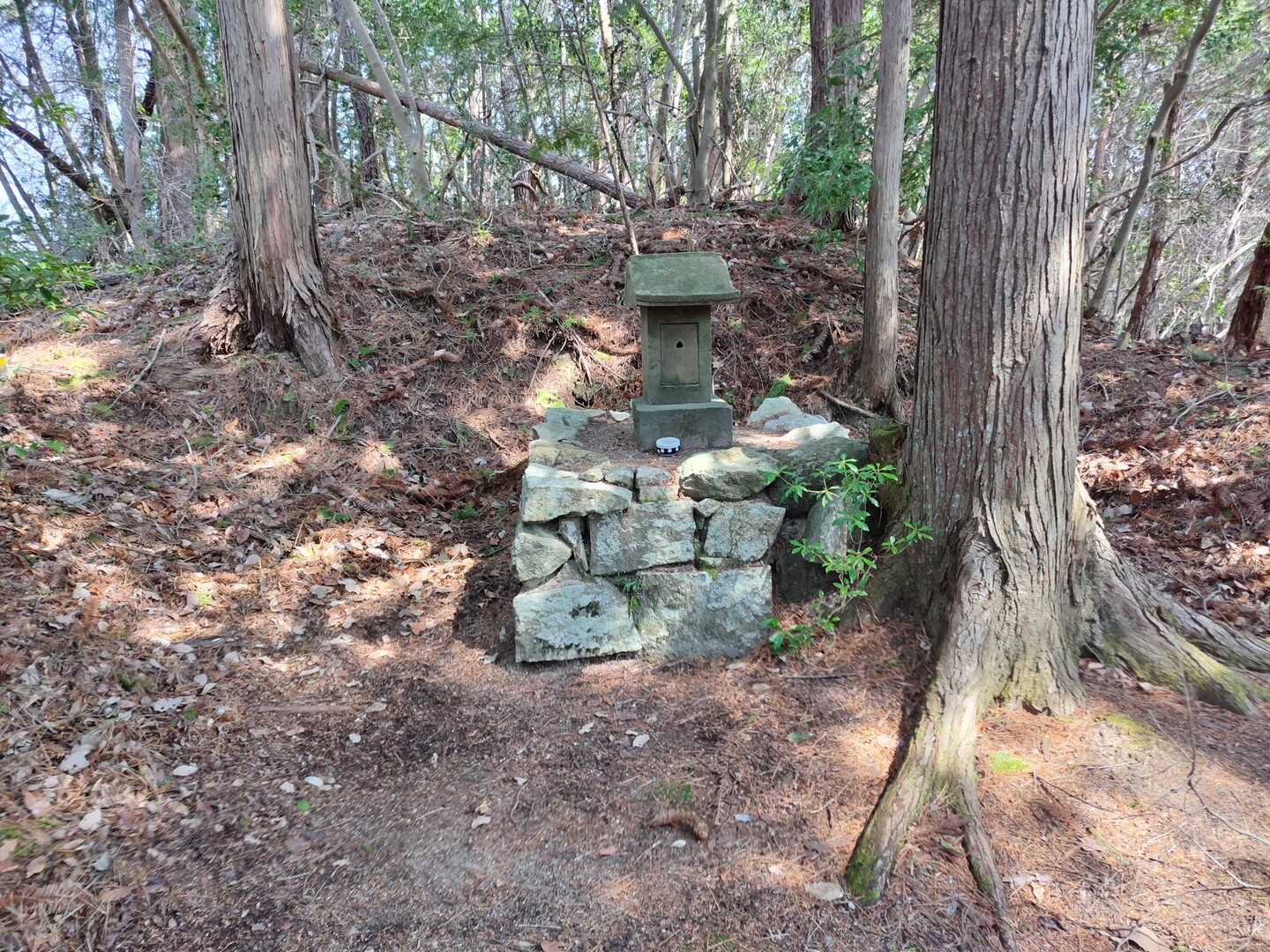 石尊山·河鹿沢の滝 / tomo 99さんの東金砂山・妙見山の活動日記 | YAMAP / ヤマップ