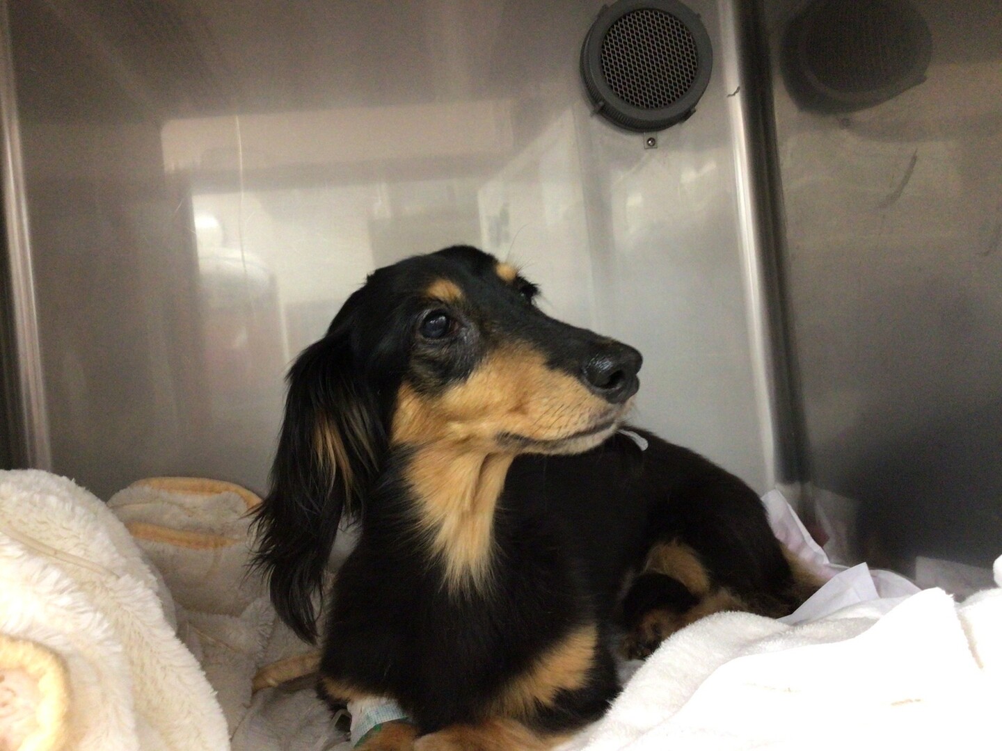 今日のあんこ 病院でごはんを... / ハギタロウさんのモーメント | YAMAP / ヤマップ