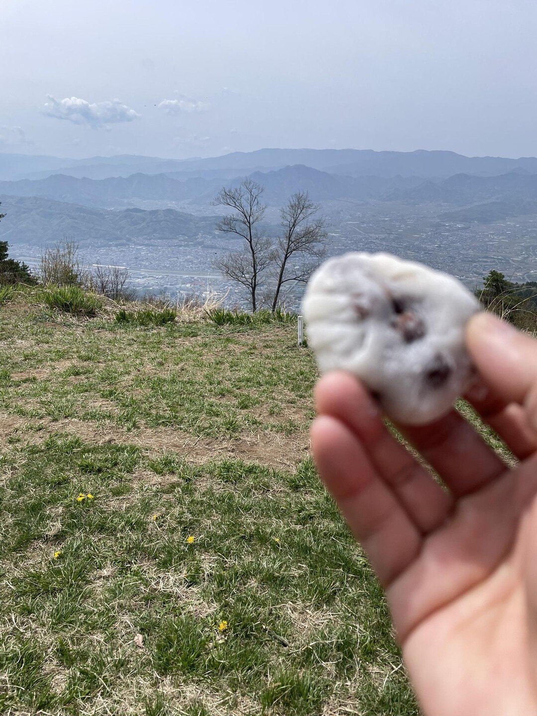 太郎山縦走 / kura.sunさんの太郎山の活動データ | YAMAP / ヤマップ