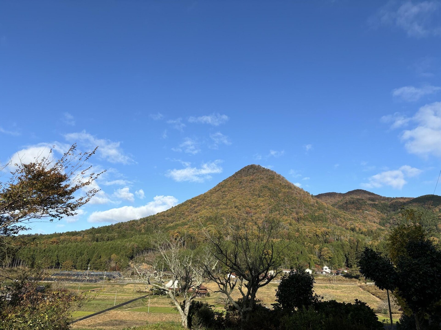 Base Camp 豊平 りゅうずの森の... / コタツさんのモーメント | YAMAP / ヤマップ