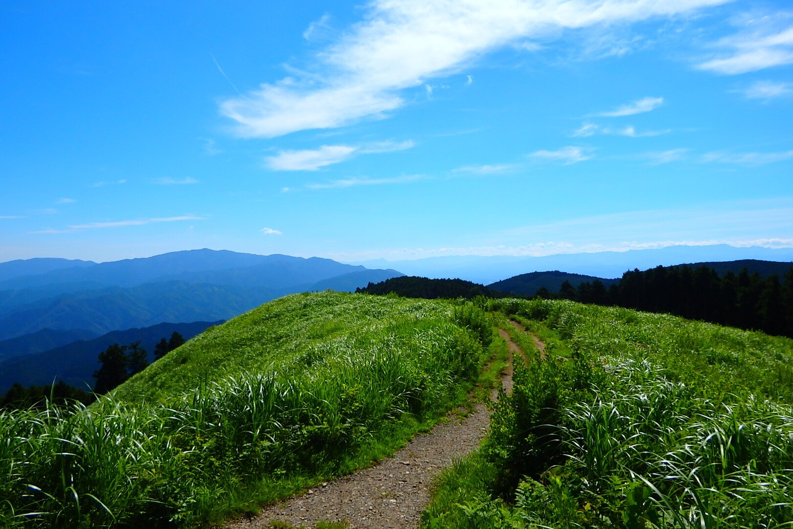 7月24日の岩湧山です。 / ブルー49さんのモーメント | YAMAP / ヤマップ