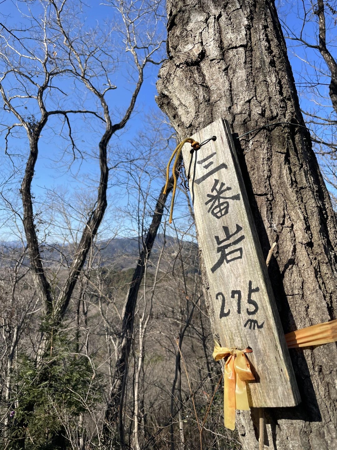 2024.01.06(土) 02:03 / gricoユーザーさんのモーメント | YAMAP / ヤマップ