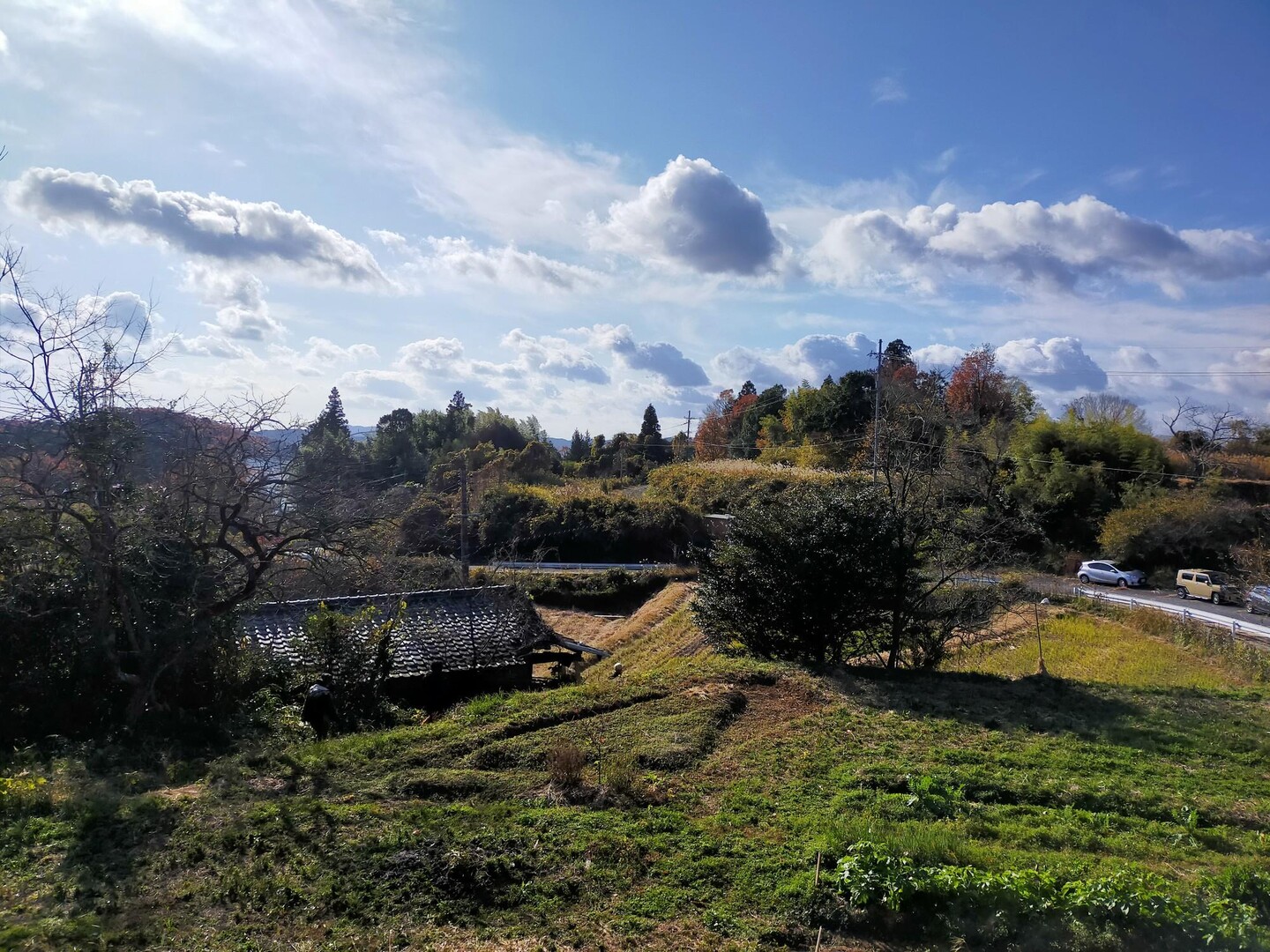 500年後の森再生を目標に活動をしている... / yumiさんのモーメント | YAMAP / ヤマップ