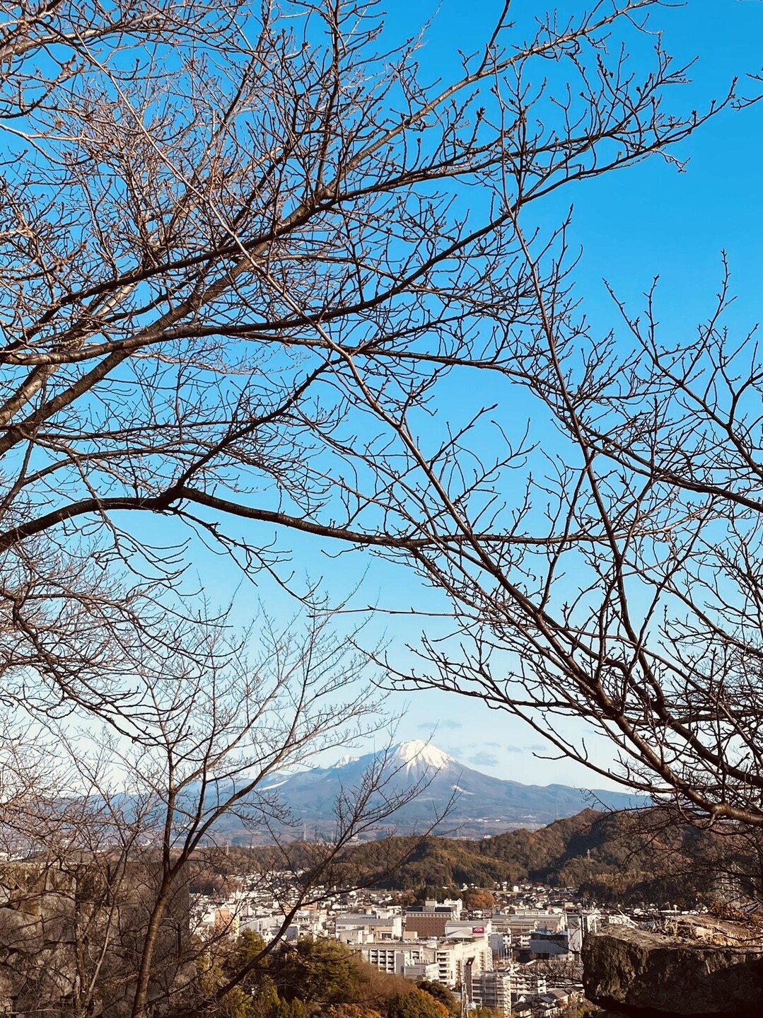 湊山 / smzさんの湊山の活動データ | YAMAP / ヤマップ