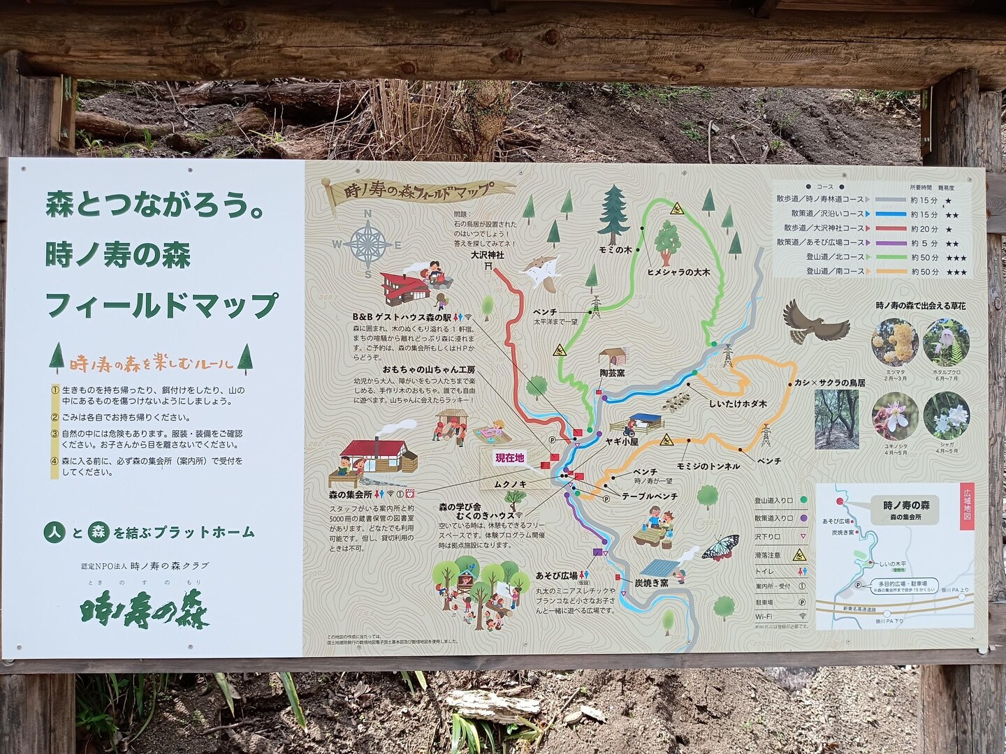 時ノ寿の森・松葉山 / k54さんの粟ヶ岳の活動データ | YAMAP / ヤマップ