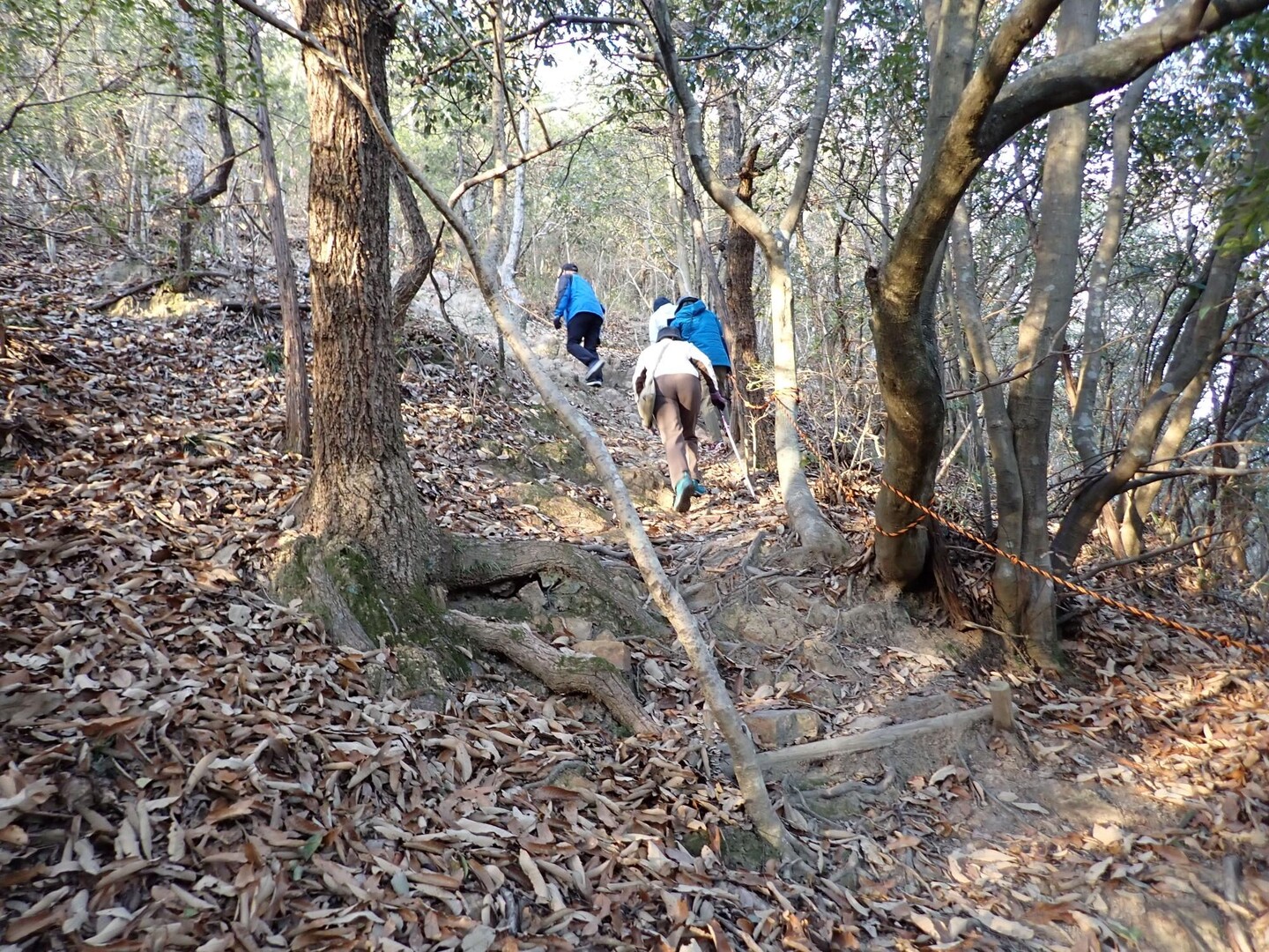 白山（しらやま、202.7m） / ラクダさんの白山の活動データ | YAMAP / ヤマップ