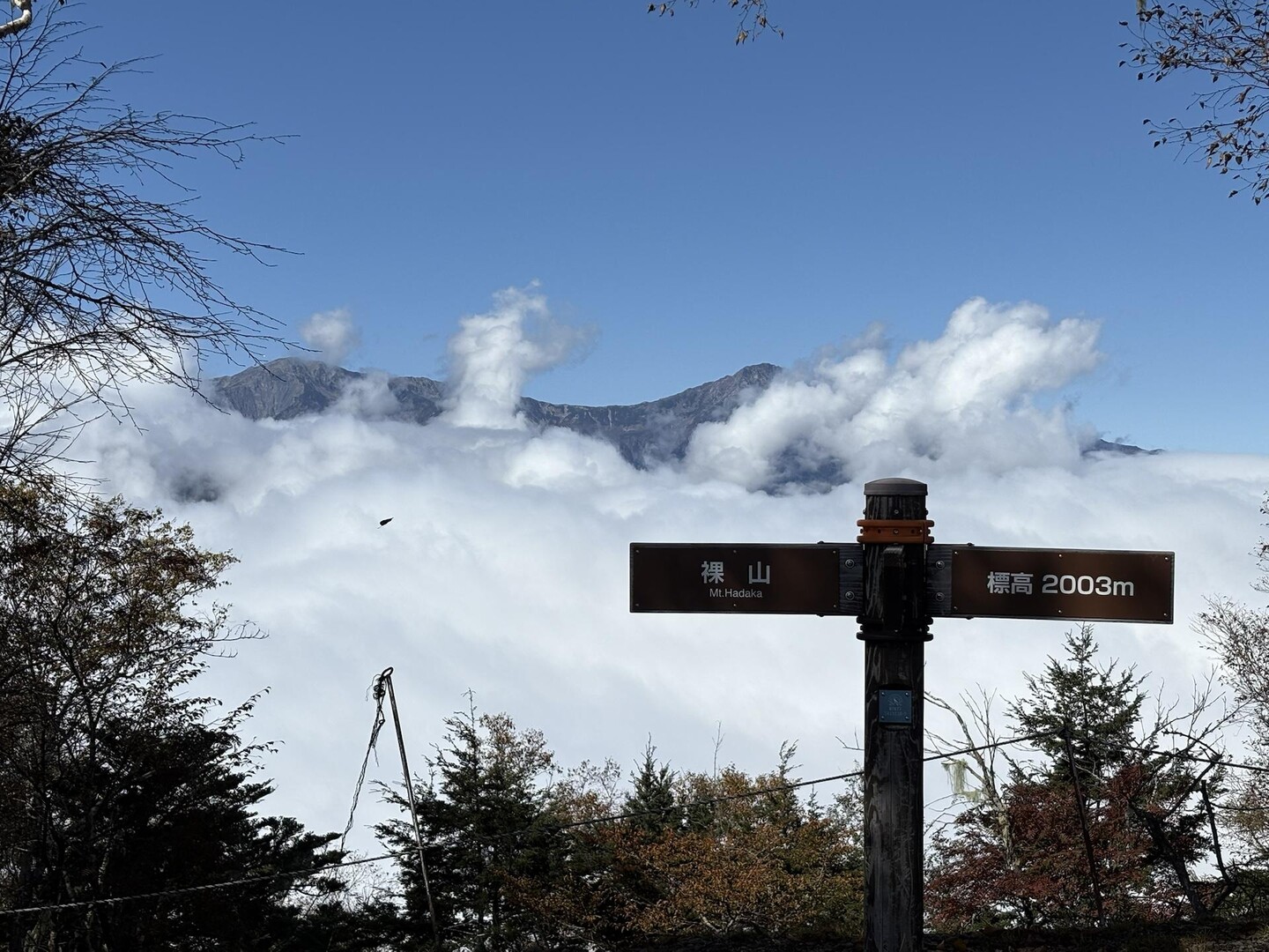 裸山・櫛形山・奥仙重 / ma-tinさんの櫛形山・裸山・唐松岳の活動データ | YAMAP / ヤマップ