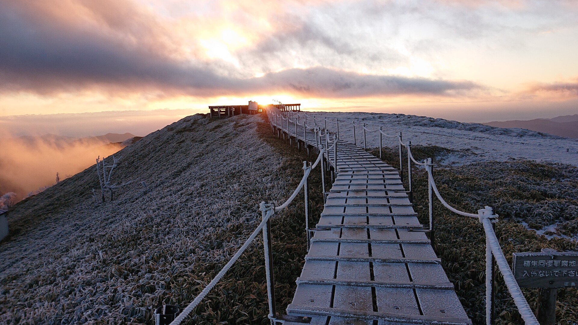 剣山・次郎笈・丸石×漢気カレー / shuuu54さんの剣山の活動日記 | YAMAP / ヤマップ