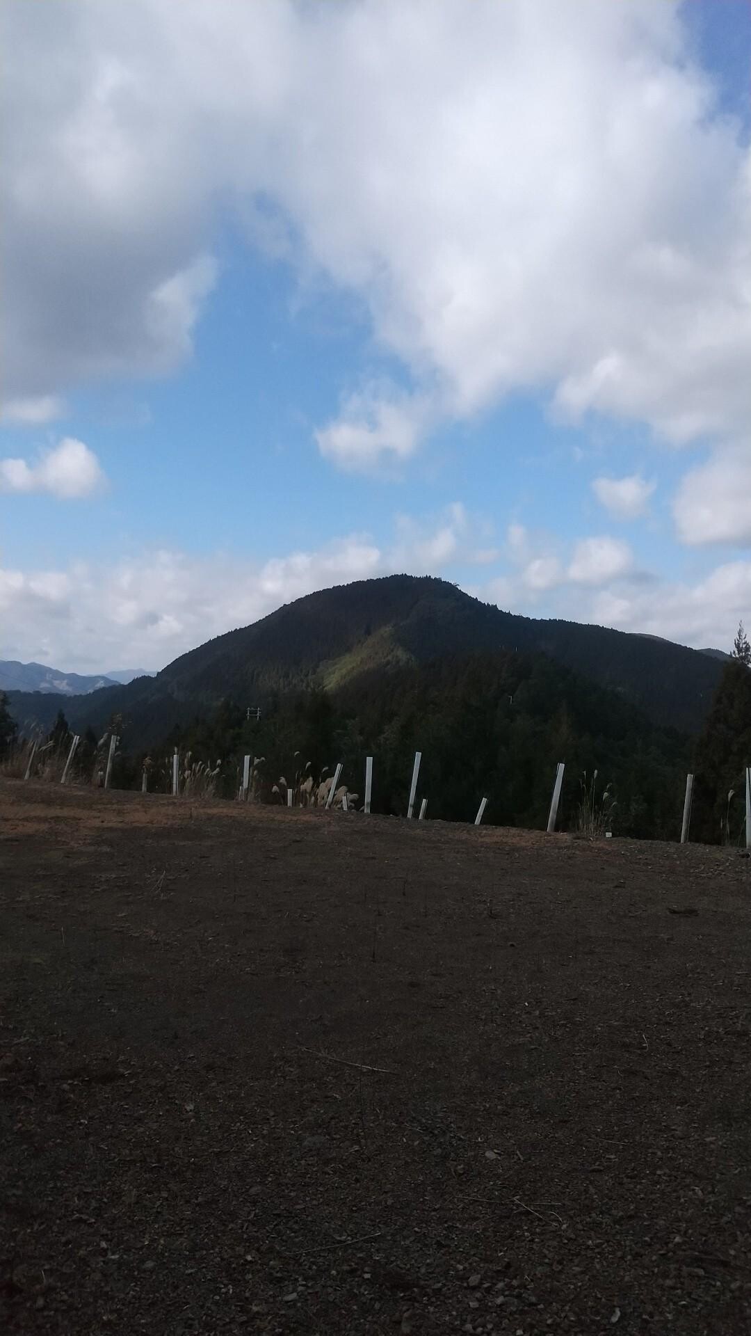 小谷山・西ヶ峯～登山口まで悪路ドライブ🚙💨～2024/1/6 / Sunさんの四国遍路その3の活動データ | YAMAP / ヤマップ
