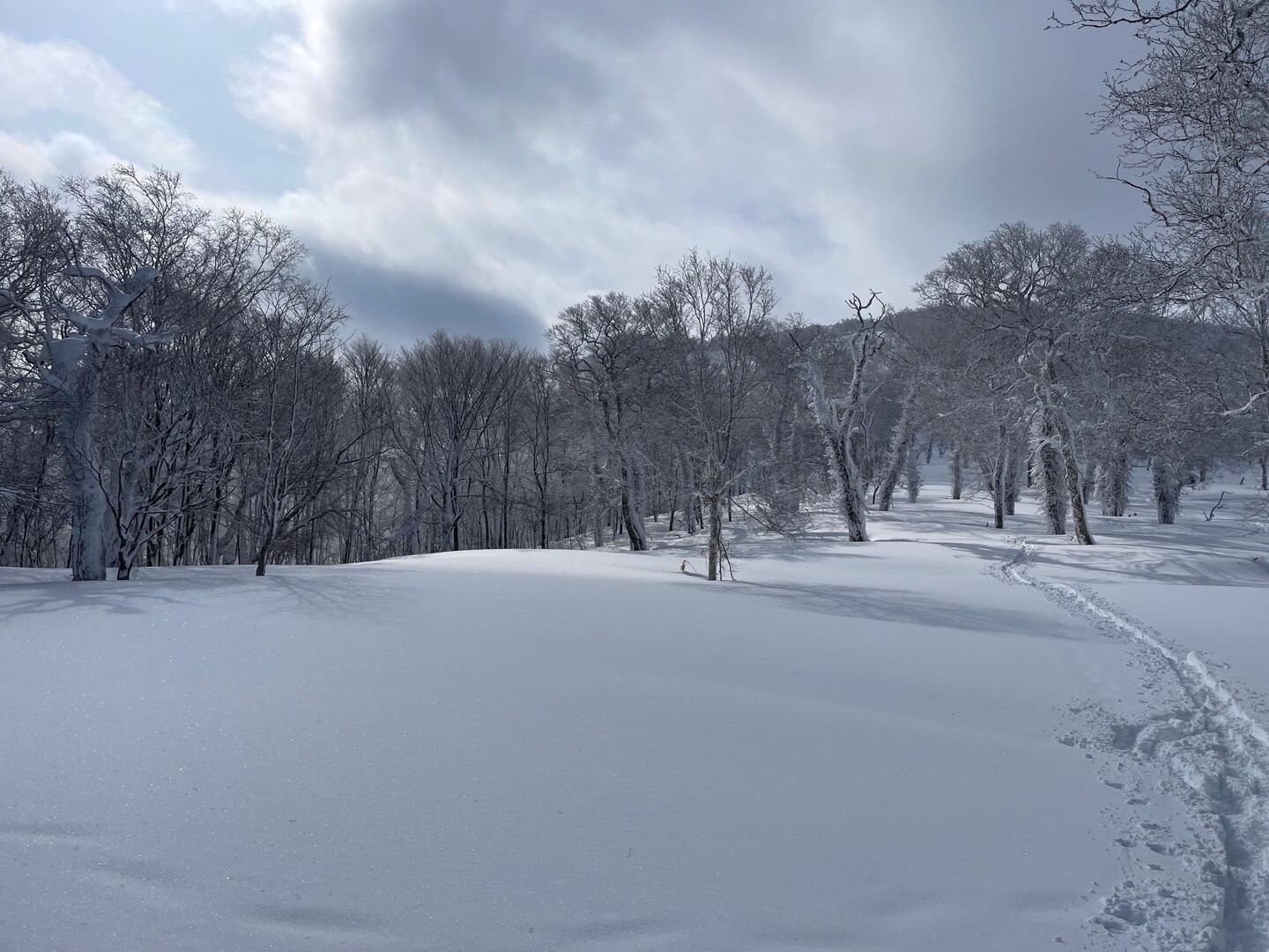 1035BC 真冬再開 / makiさんの横津岳・袴腰岳（袴腰山）の活動日記 | YAMAP / ヤマップ