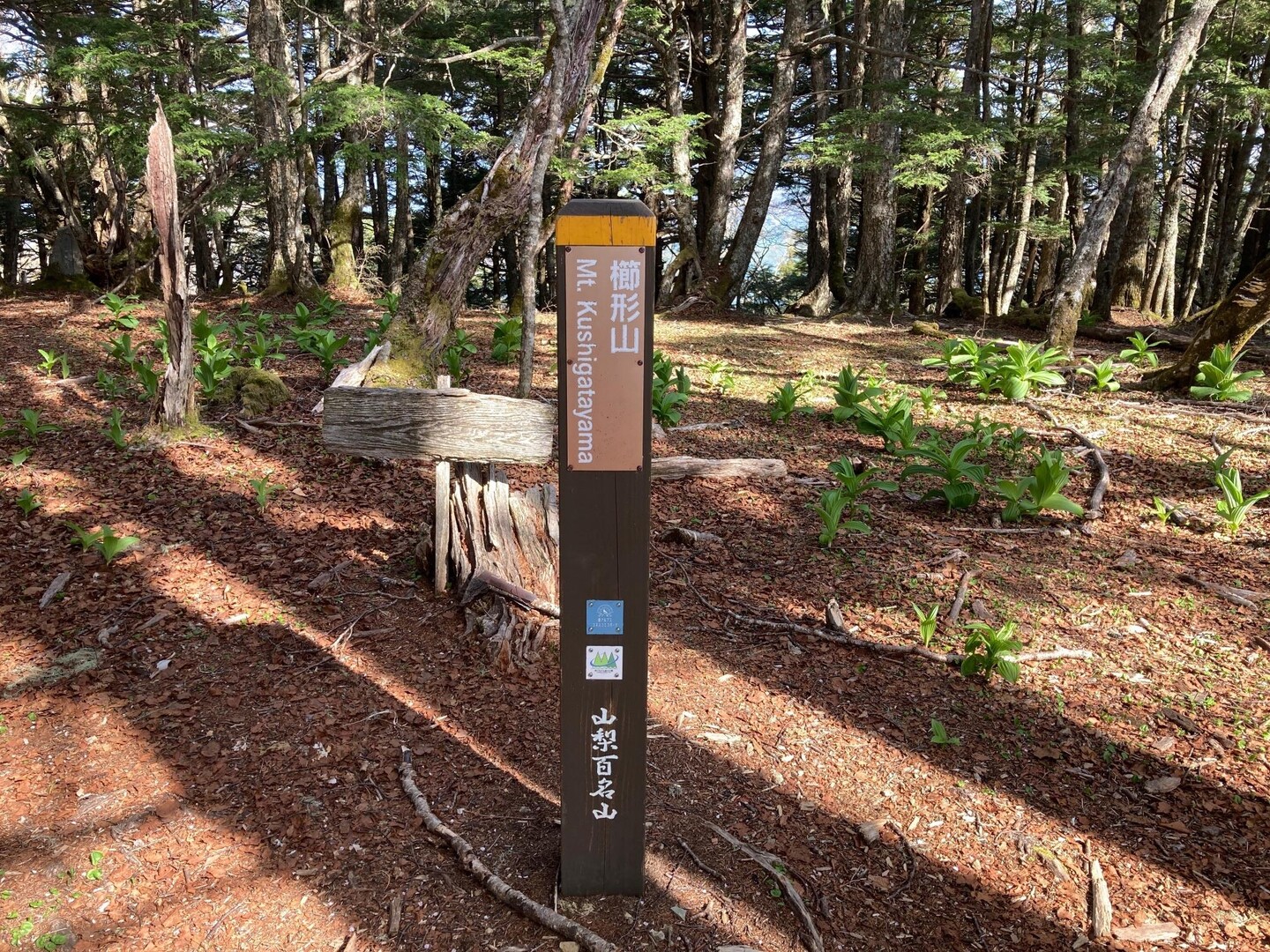 奥仙重・櫛形山・裸山 / yoshiさんの櫛形山・裸山・唐松岳の活動日記 | YAMAP / ヤマップ