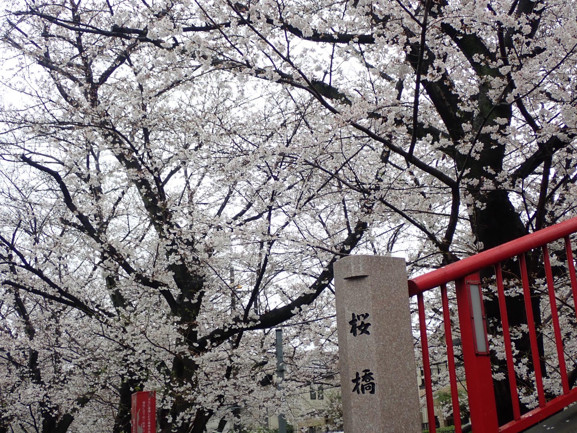 お得なQ SKIP 東急ワンデーパス※ ... / とももさんのモーメント | YAMAP / ヤマップ