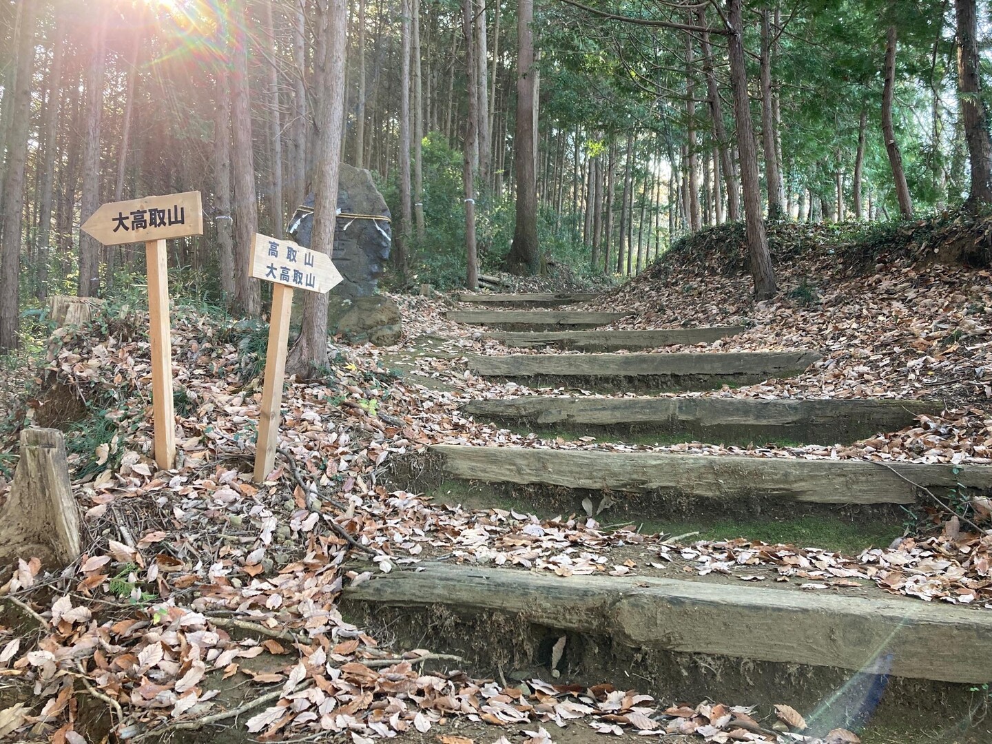 taoさんの投稿したフィールドメモ | YAMAP / ヤマップ