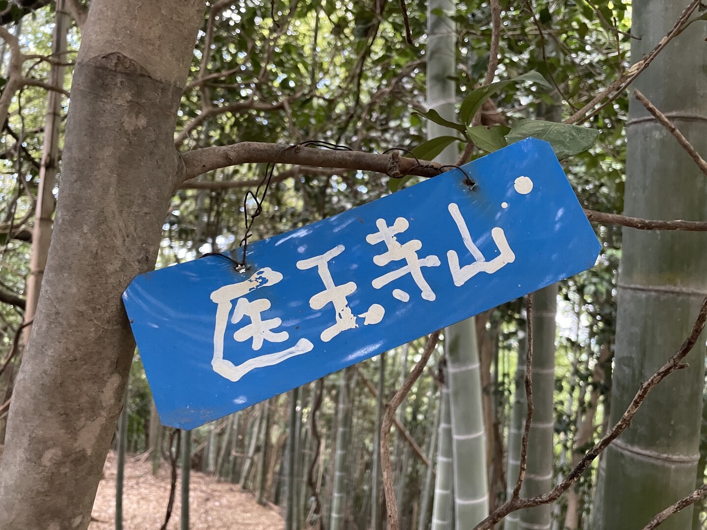 医王寺山 / Solidaさんの古賀市の活動データ | YAMAP / ヤマップ