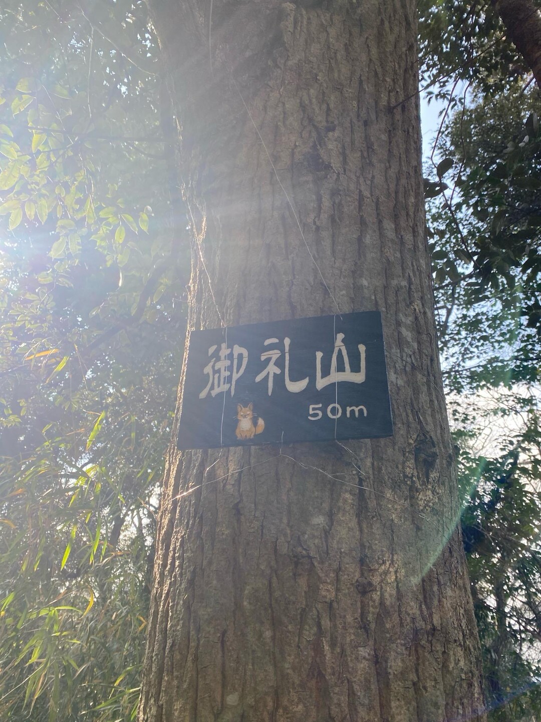 もばら〜 / yossyさんの浅間山の活動データ | YAMAP / ヤマップ