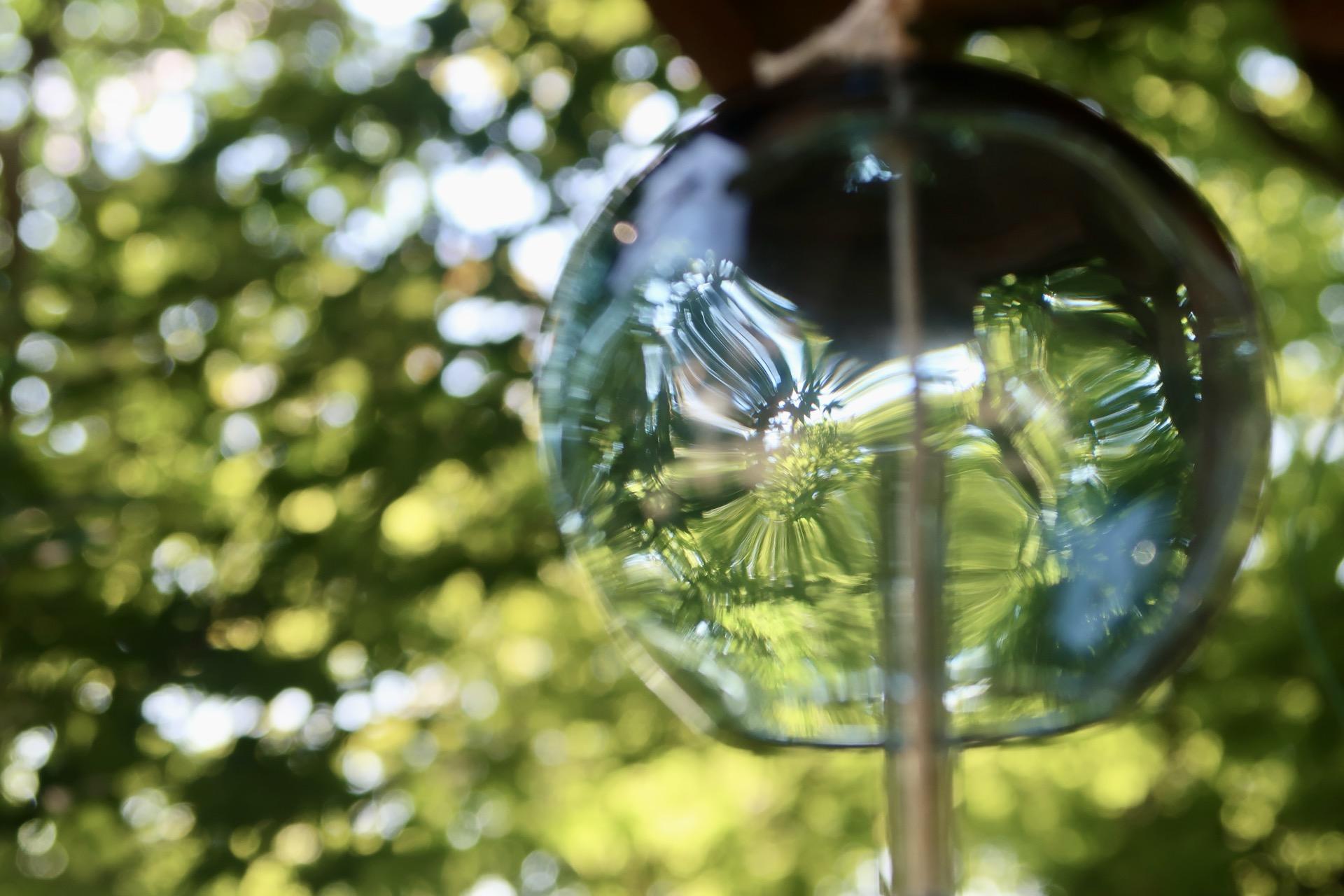 暑かった8月の大山トレーニング🔥 / heeさんの大山の活動データ | YAMAP / ヤマップ