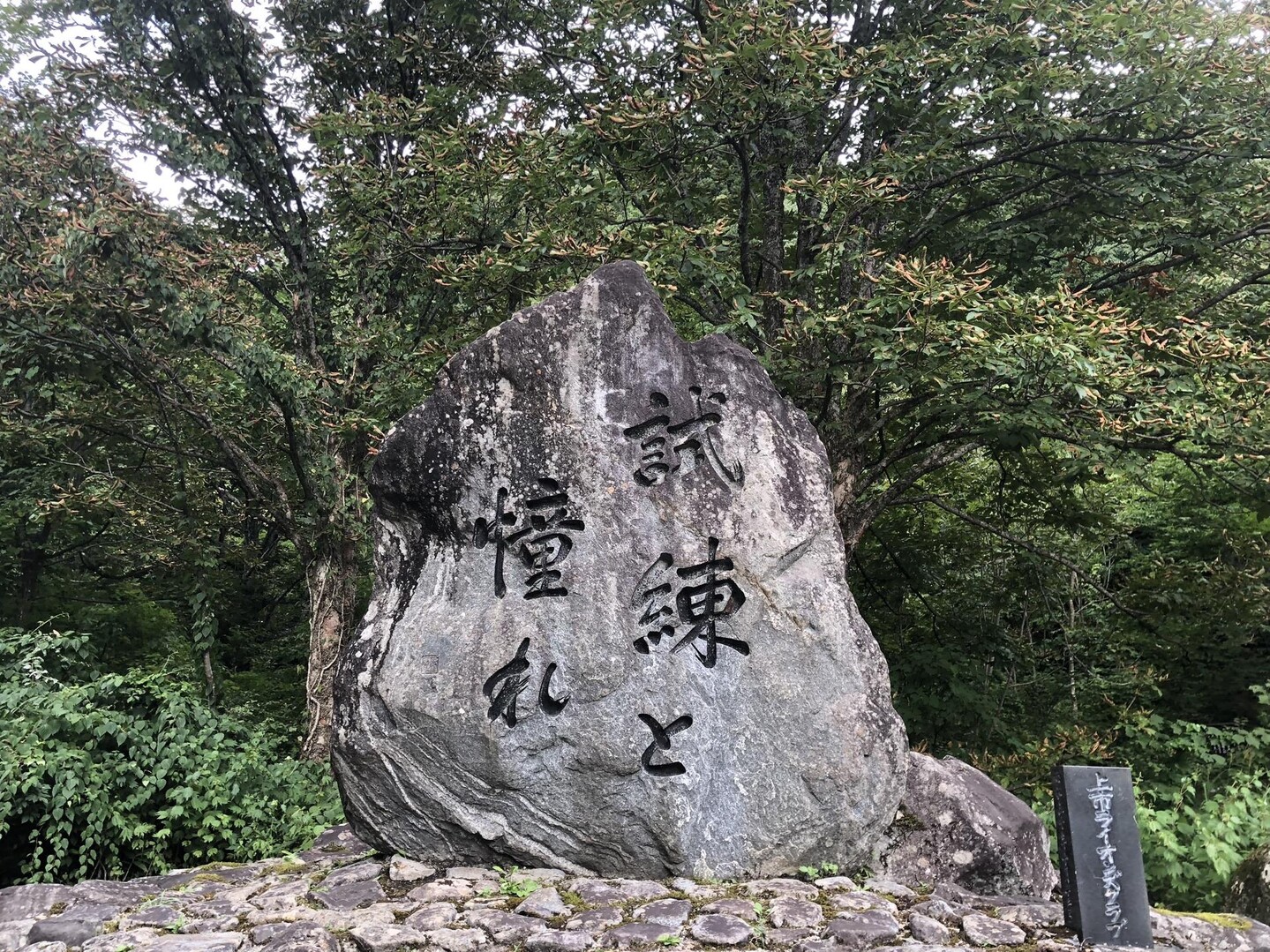 日帰り剱岳、ホンマに急登だった早月尾根 / kokoさんの剱岳の活動データ | YAMAP / ヤマップ